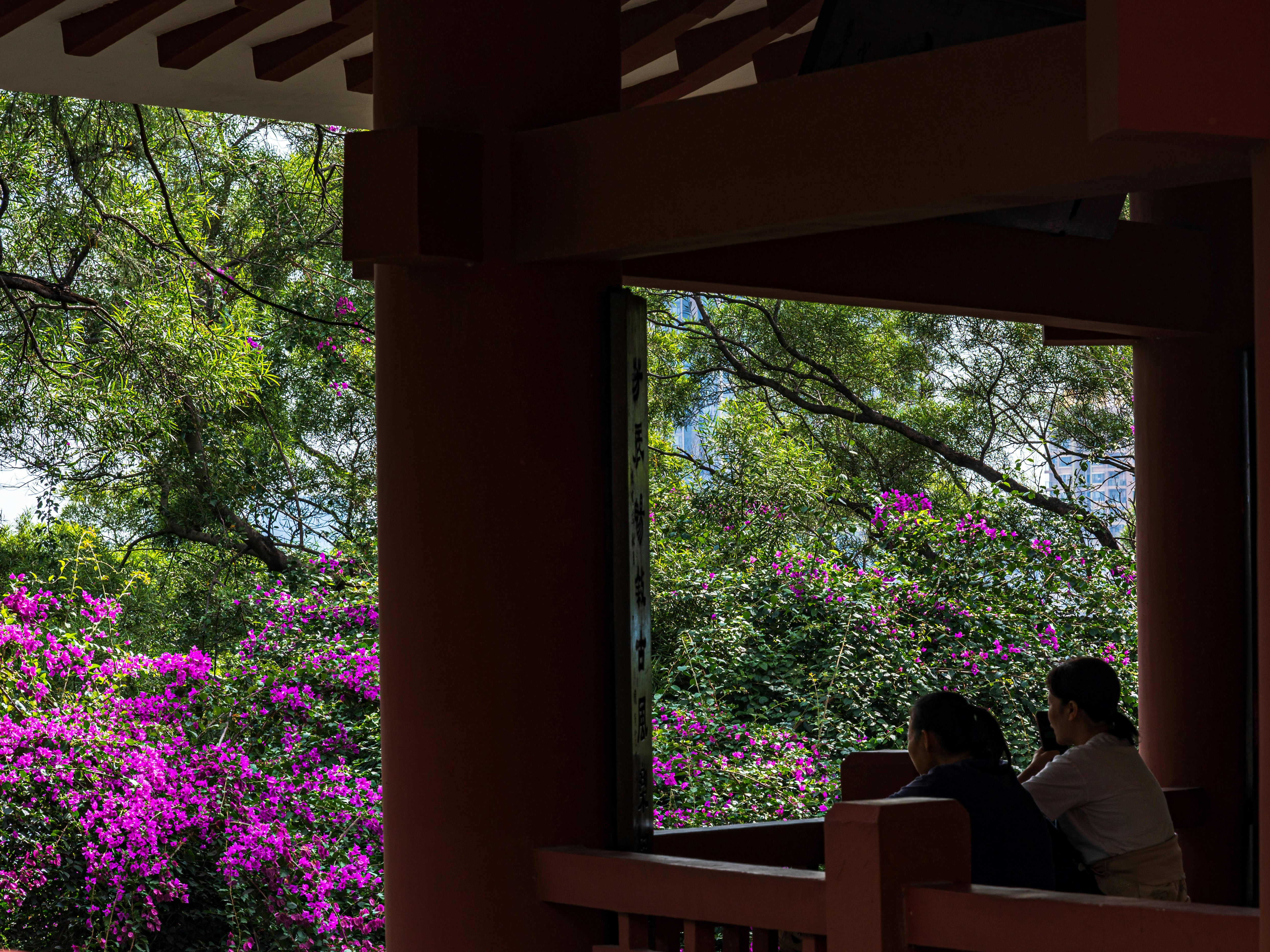 Photo by Zheng XUE with Nikon Z6 III