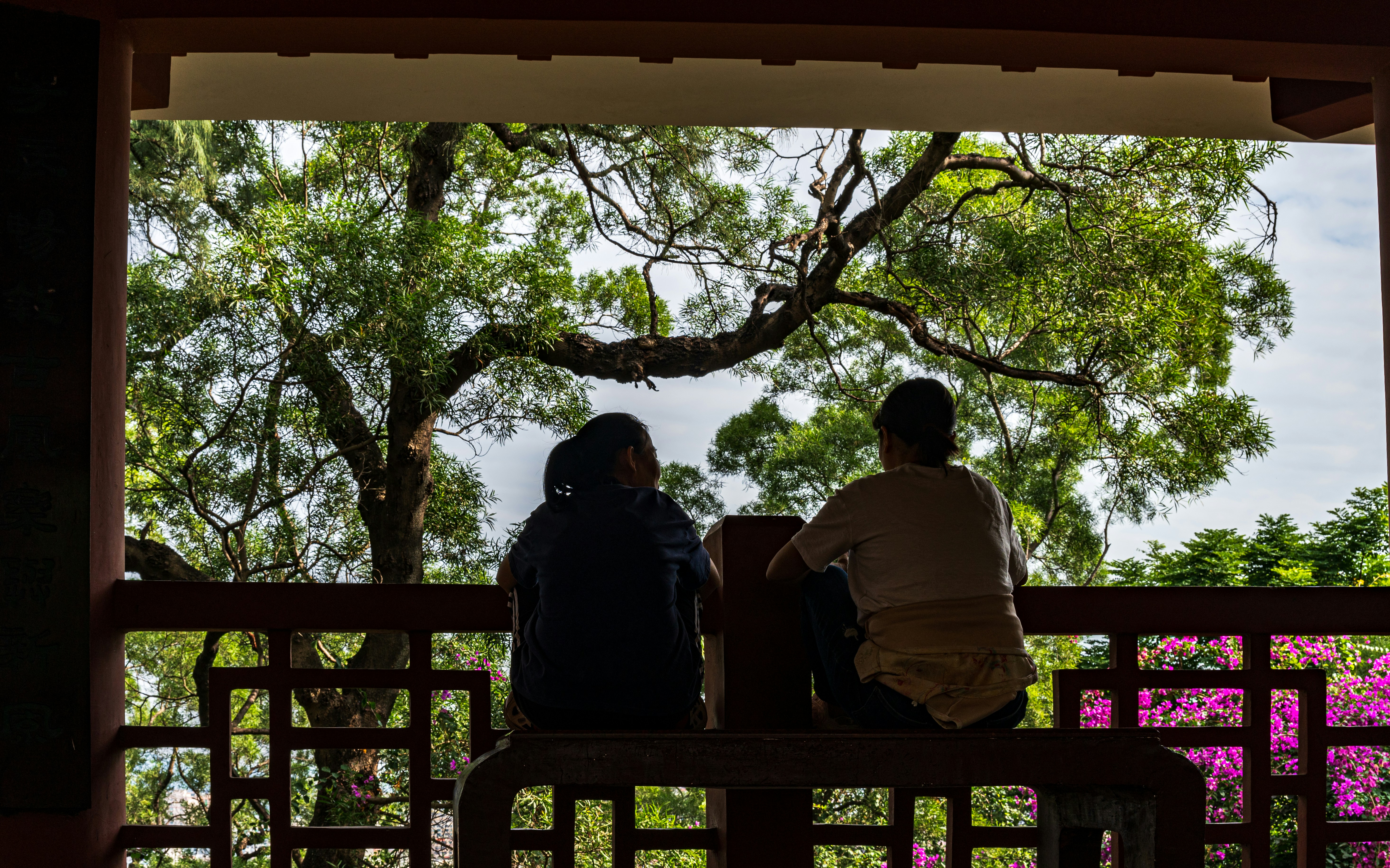 Silhouettes on a Veranda: Quiet Conversation Under a Green Canopy and Pink Blossoms
