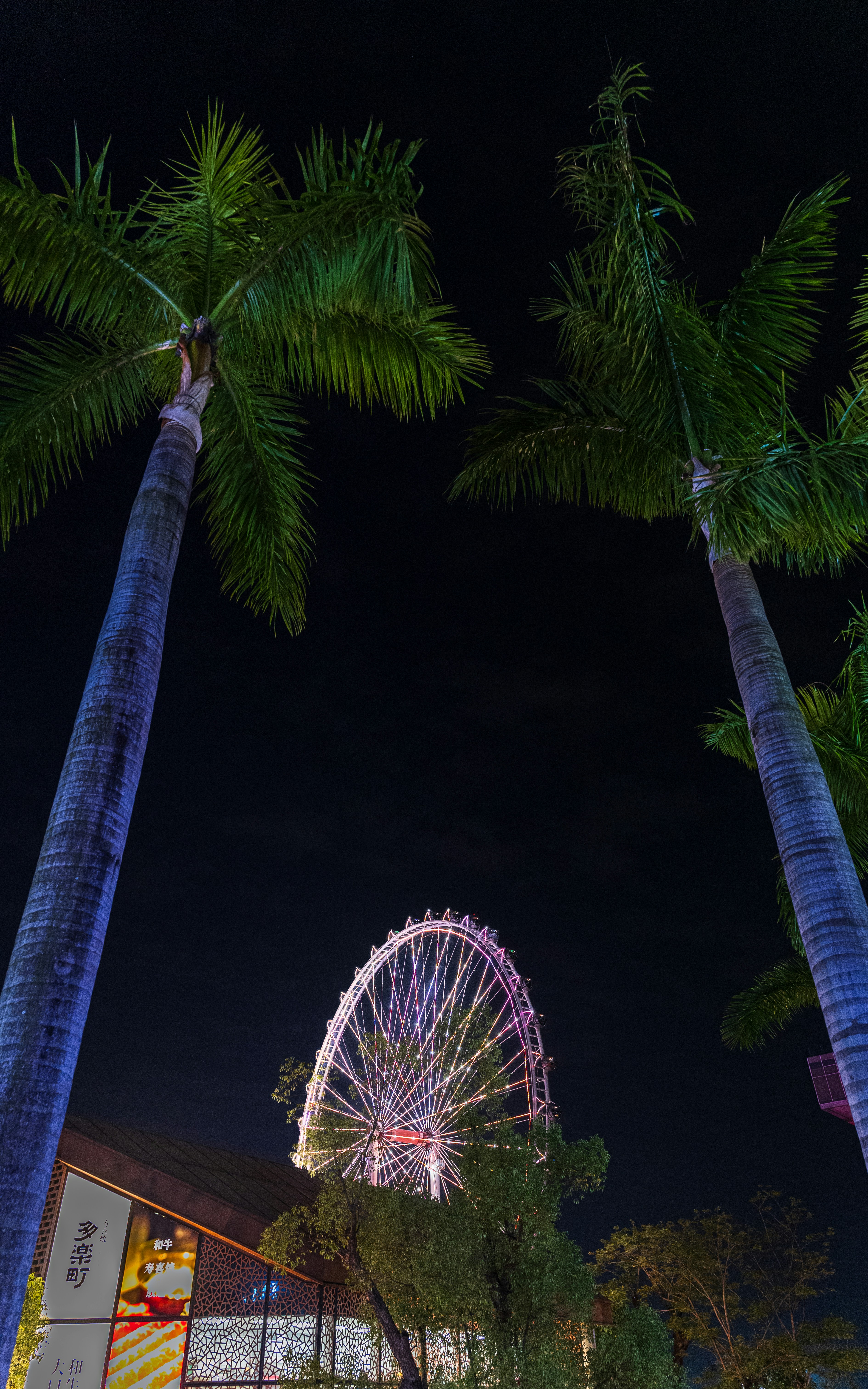 Photo by Zheng XUE with Nikon Z6 III