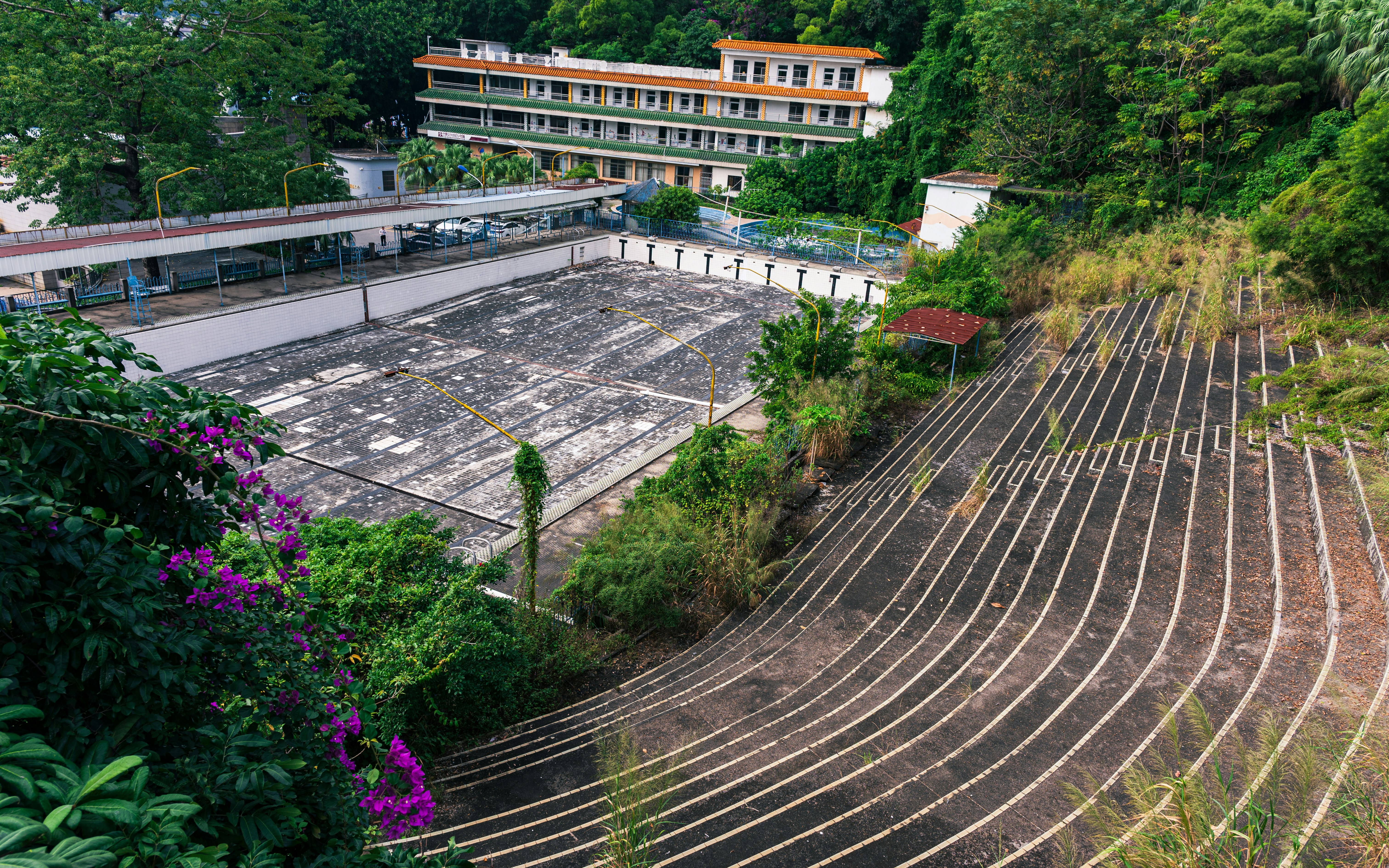 Terraced Steps Curving Toward a Hilltop Building Amid Lush Slopes
