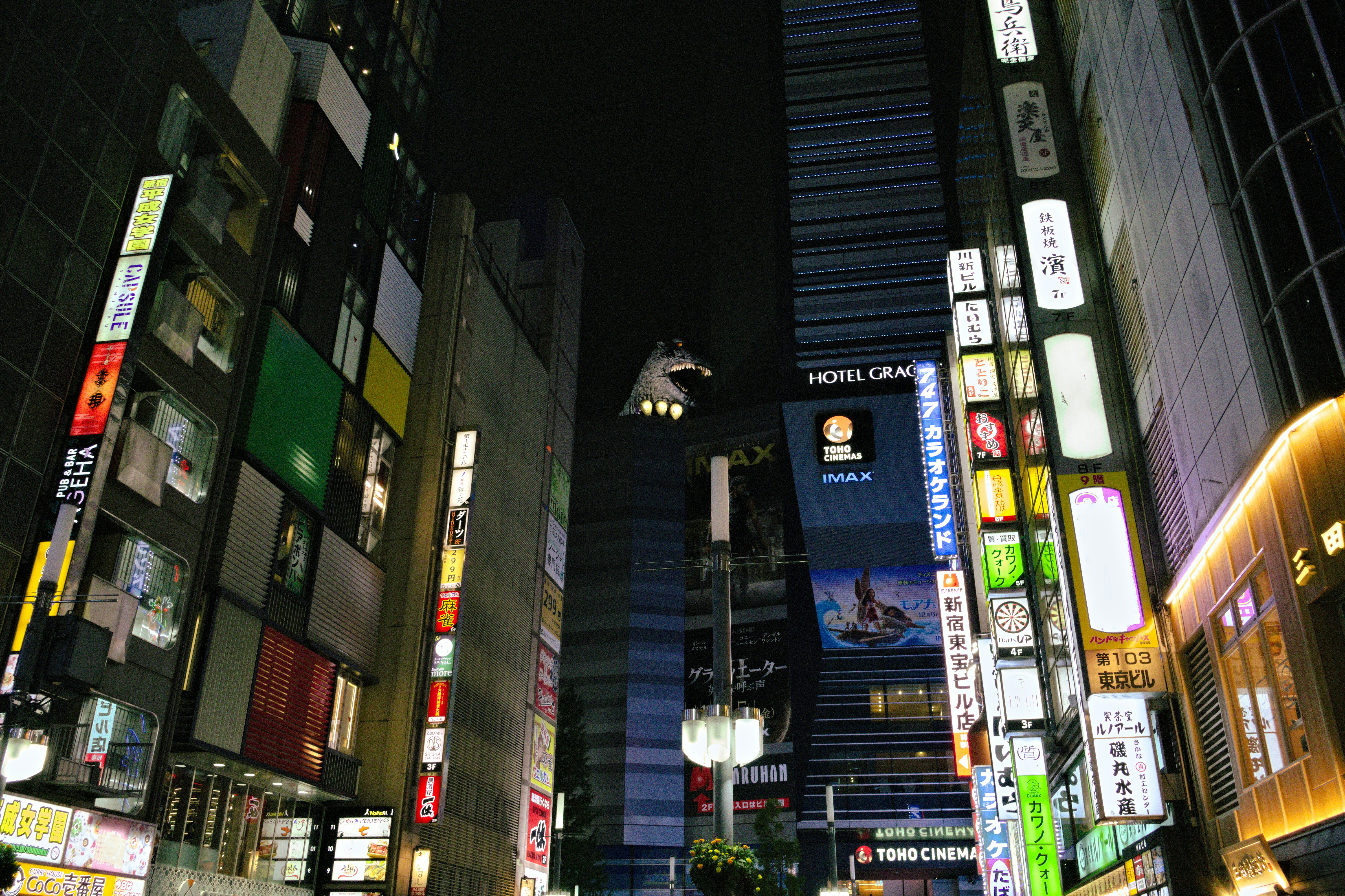 Photo by Rina Kemppainen with Canon EOS R50