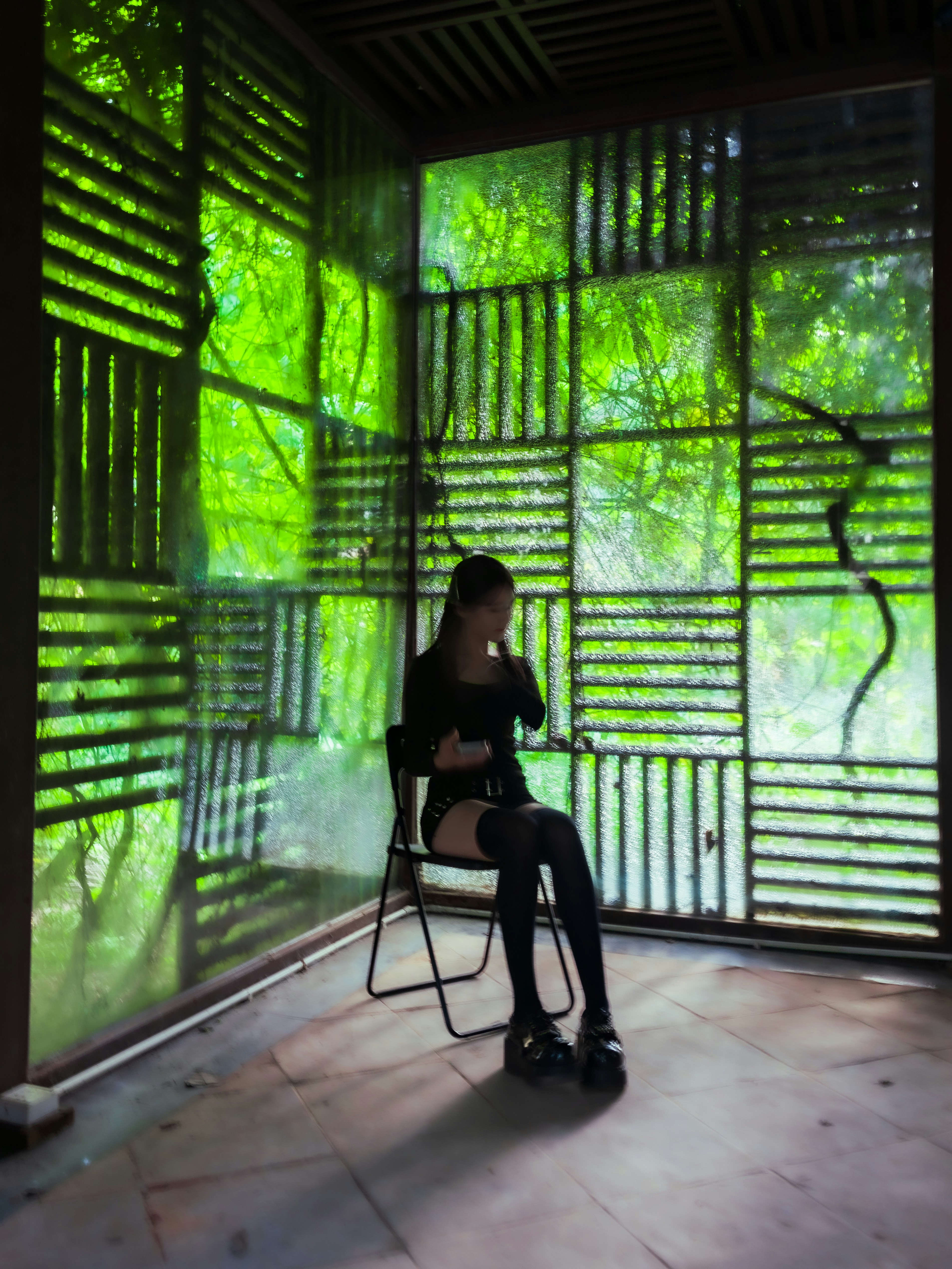 Photo by Zheng XUE with Nikon Z6 III