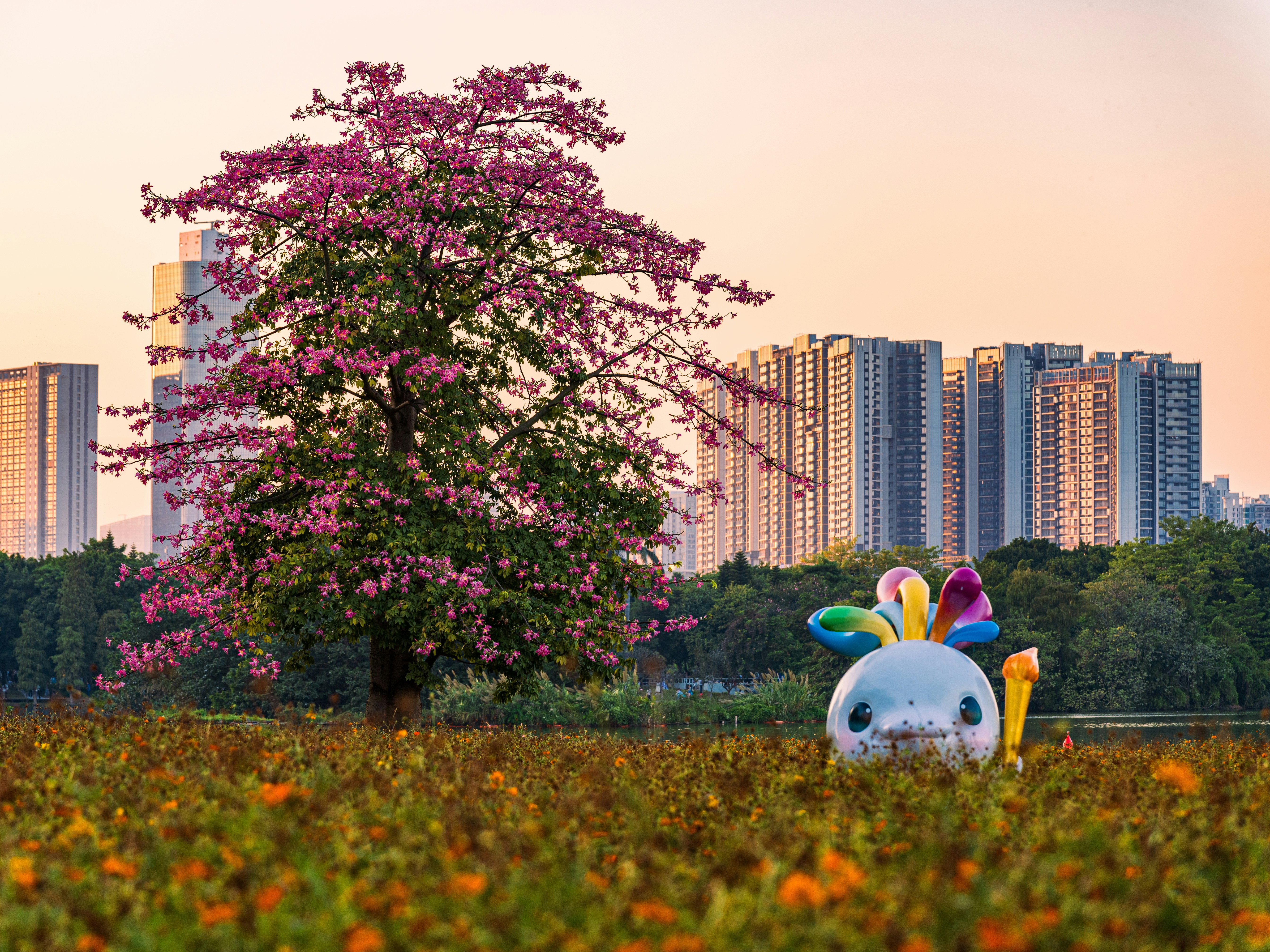 Pink Blossom Tree Framing a Distant Cityscape at Sunset