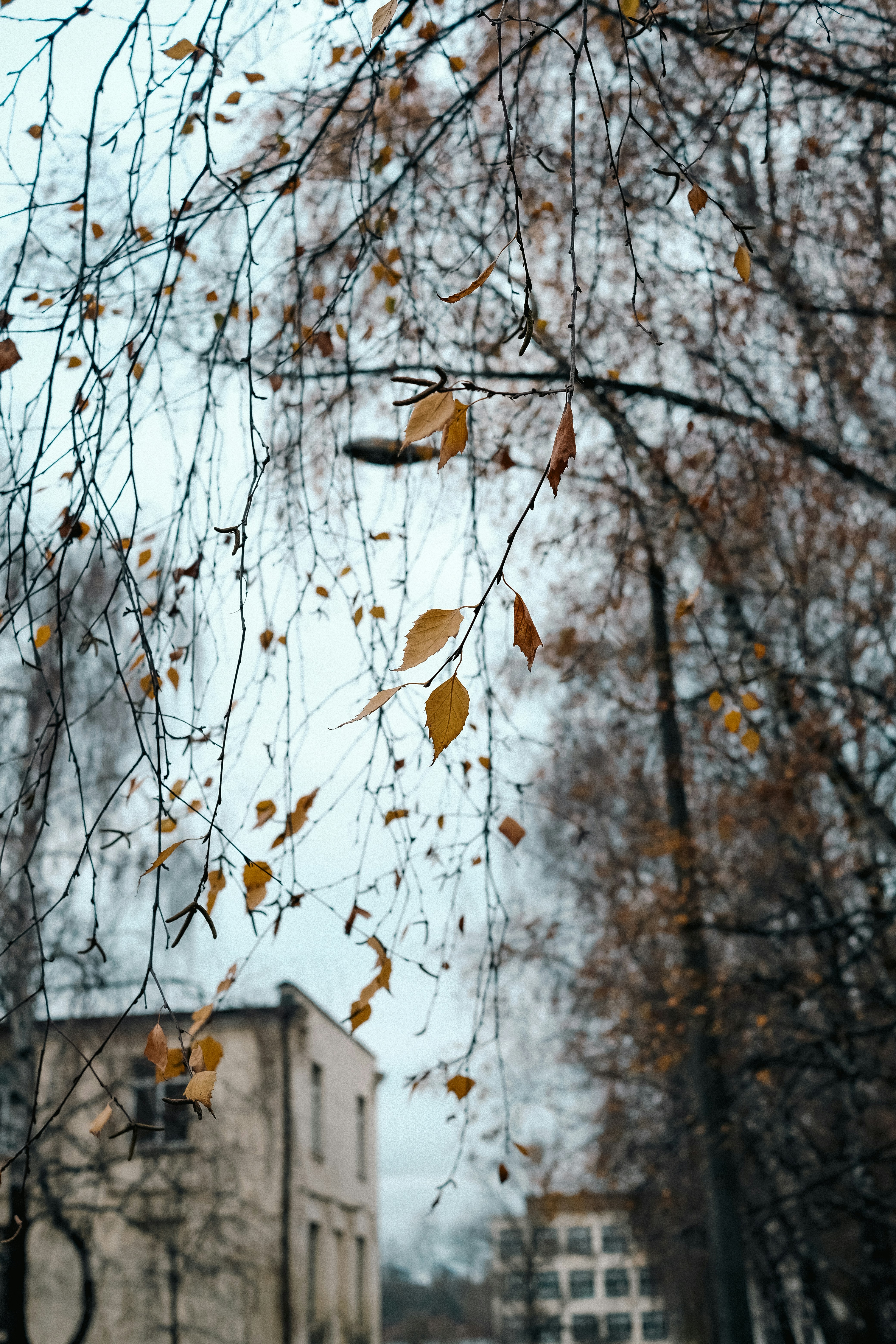 Photo by Yana Ralko with Fujifilm X-T30 II