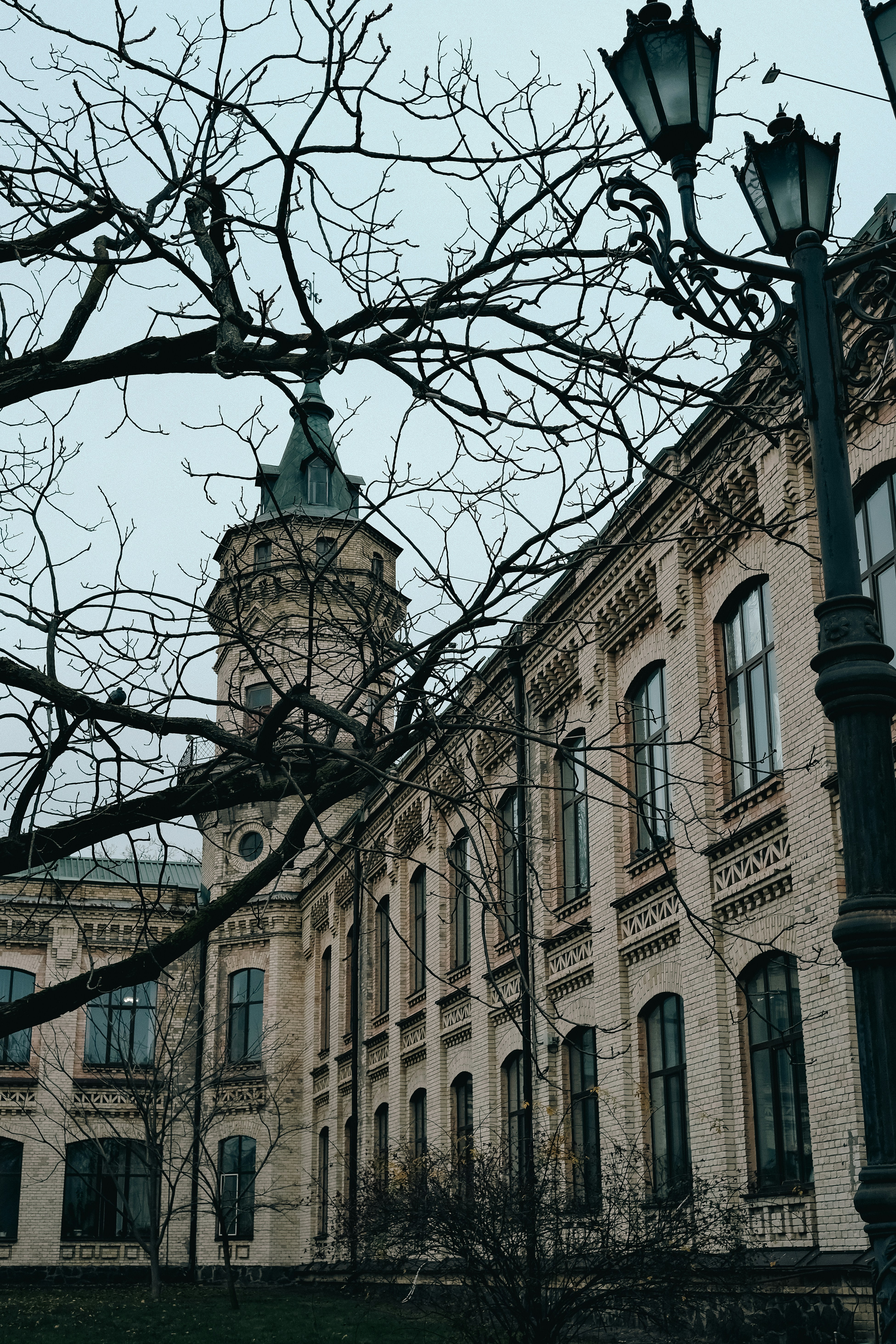 Photo by Yana Ralko with Fujifilm X-T30 II