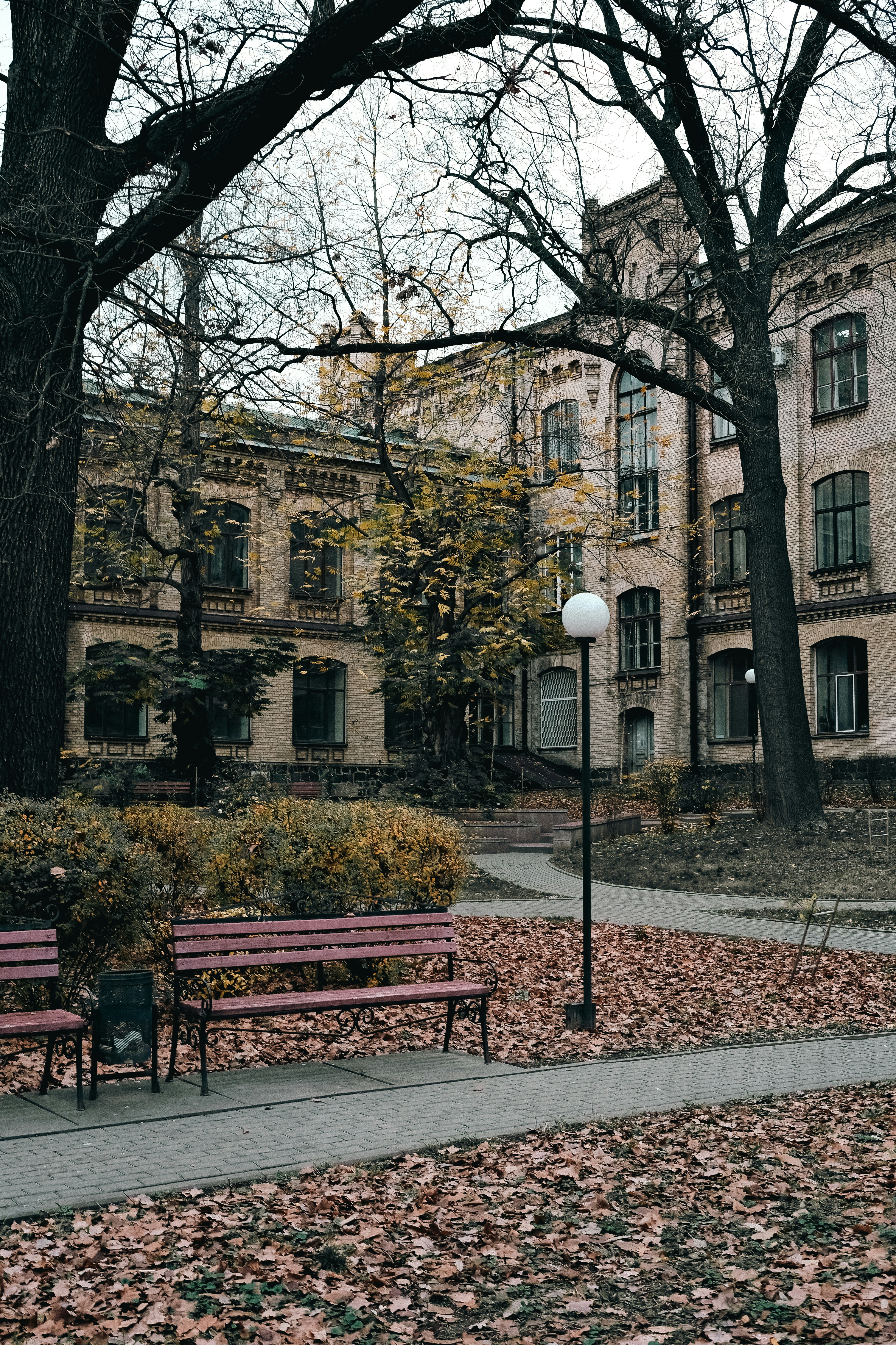 Photo by Yana Ralko with Fujifilm X-T30 II