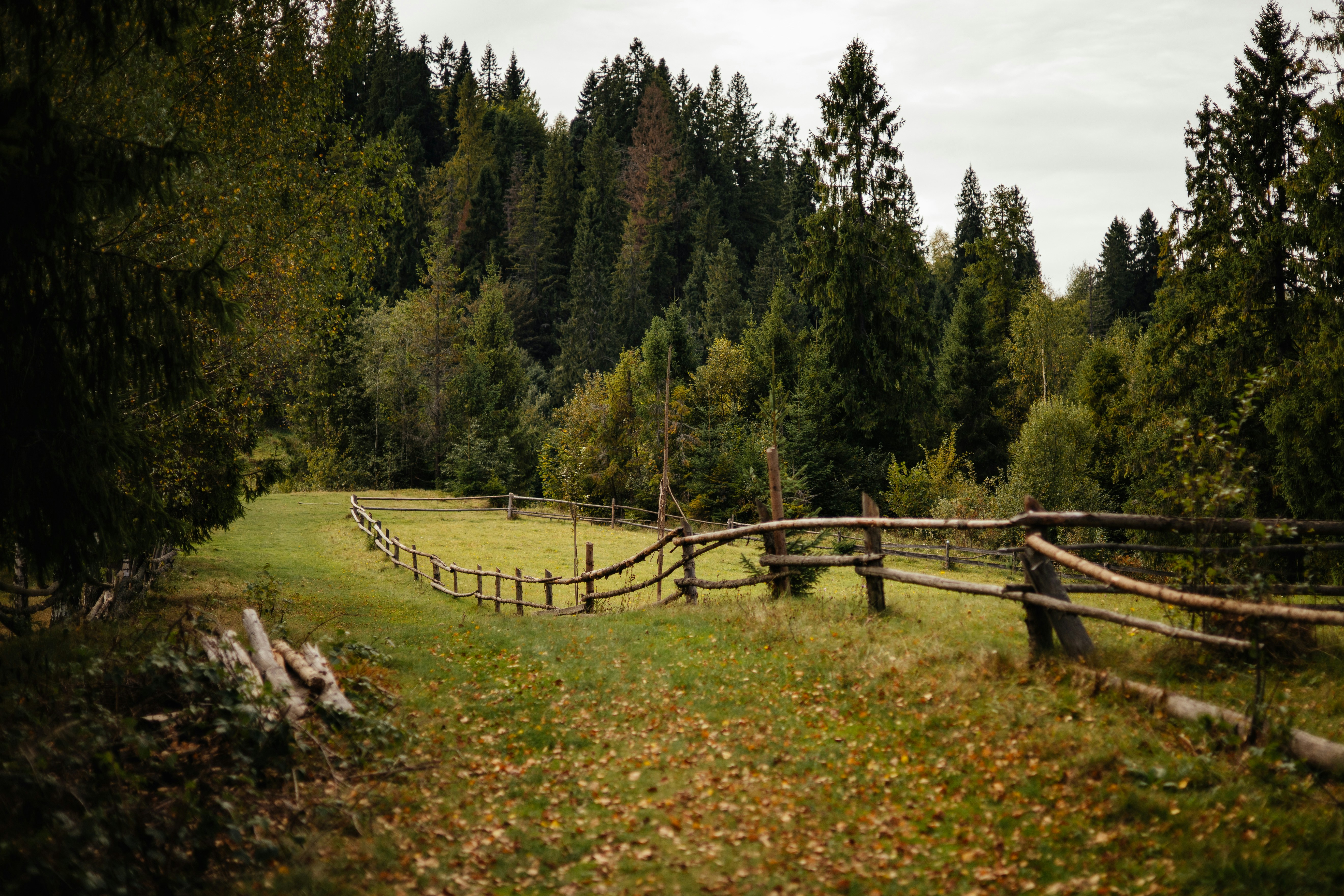 Photo by Anna Blake with Canon EOS RP