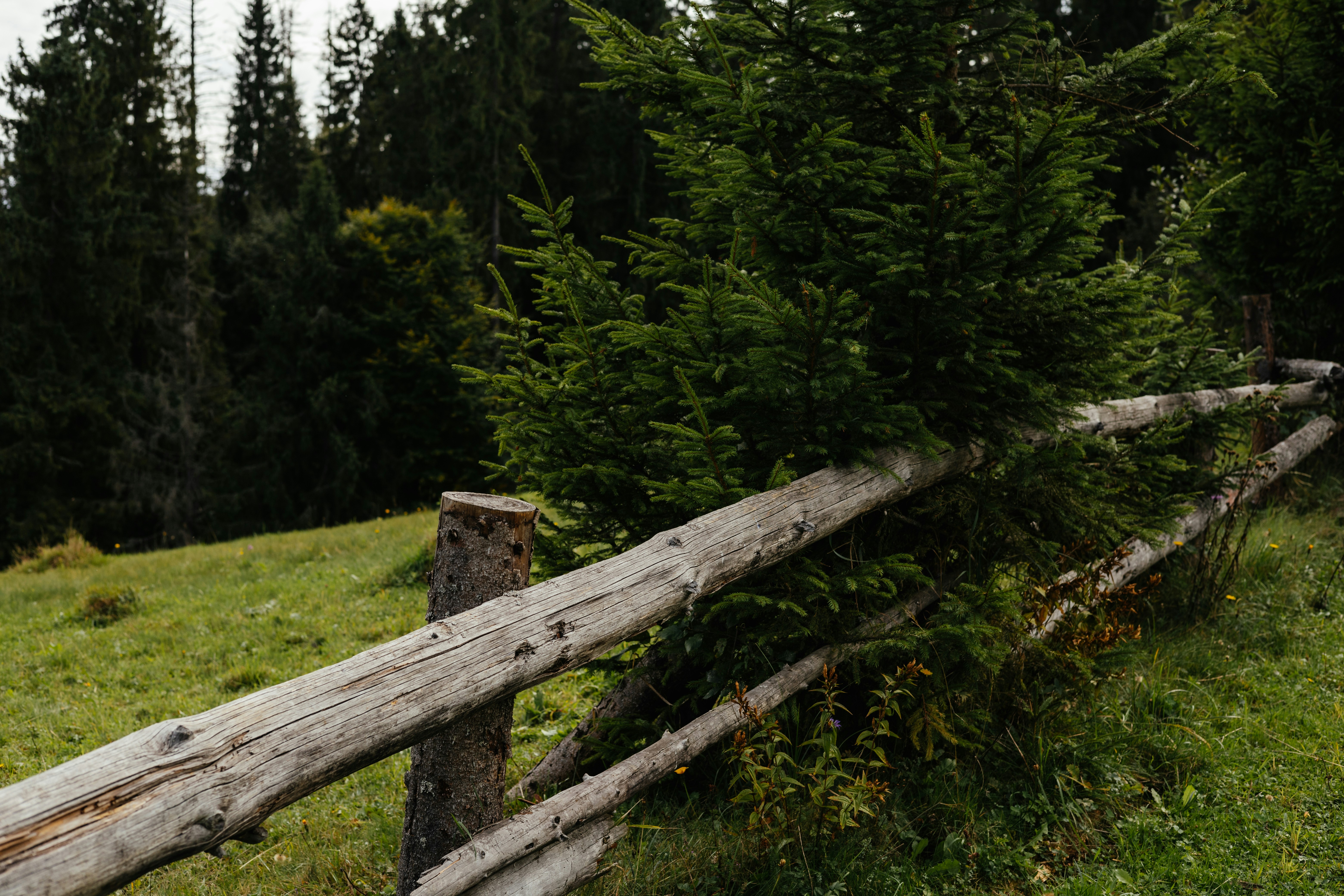 Photo by Anna Blake with Canon EOS RP