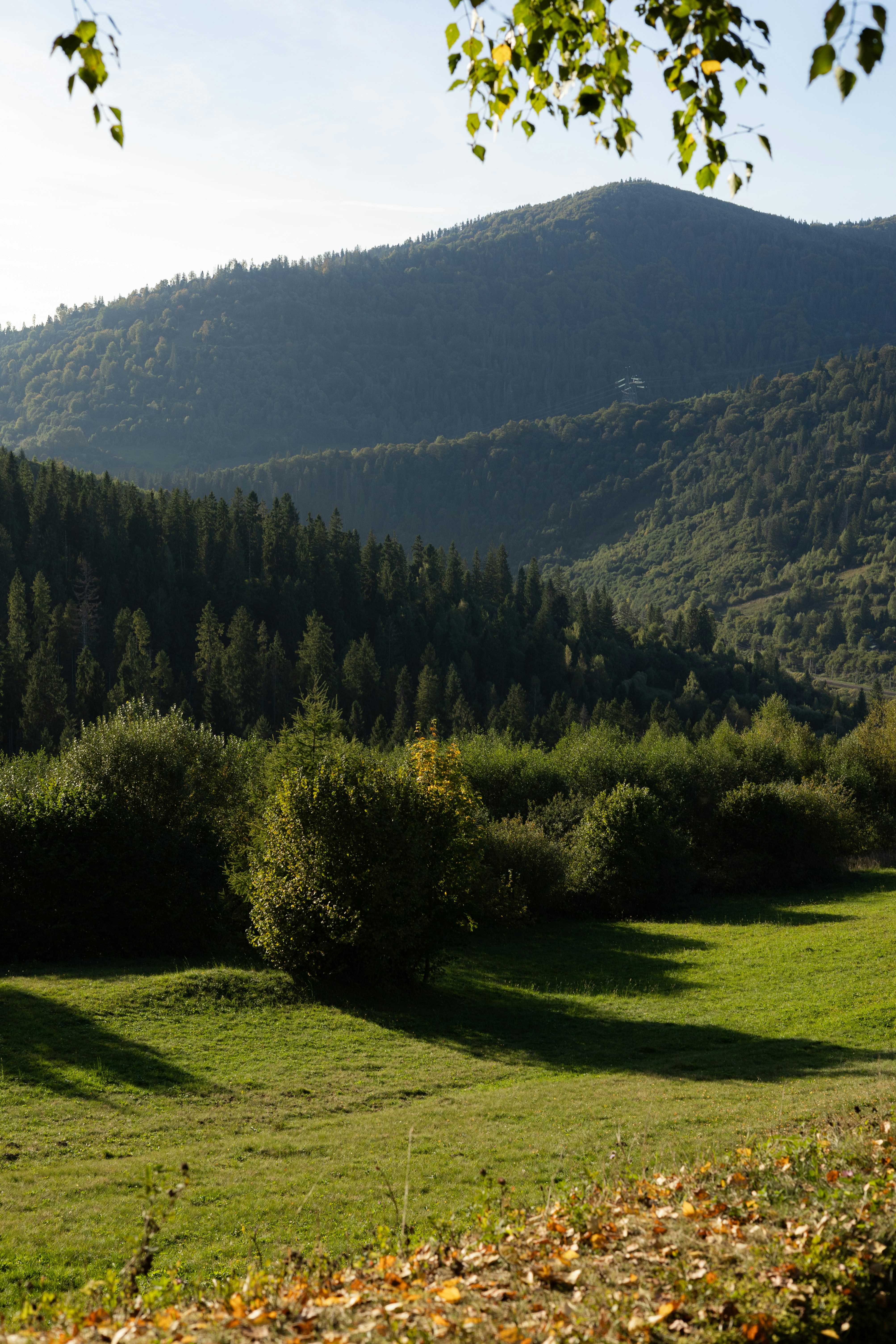 Photo by Anna Blake with Canon EOS RP