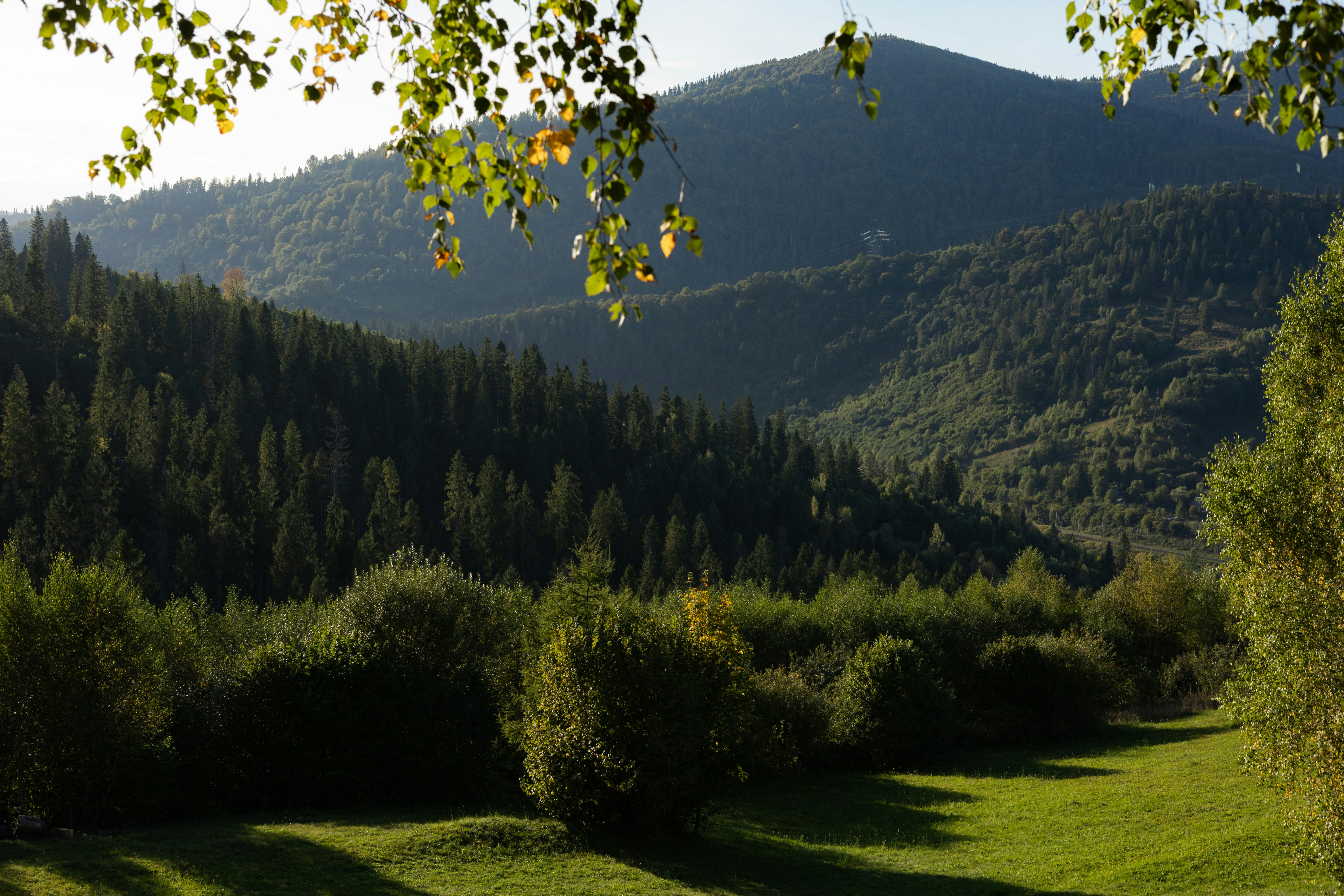 Photo by Anna Blake with Canon EOS RP