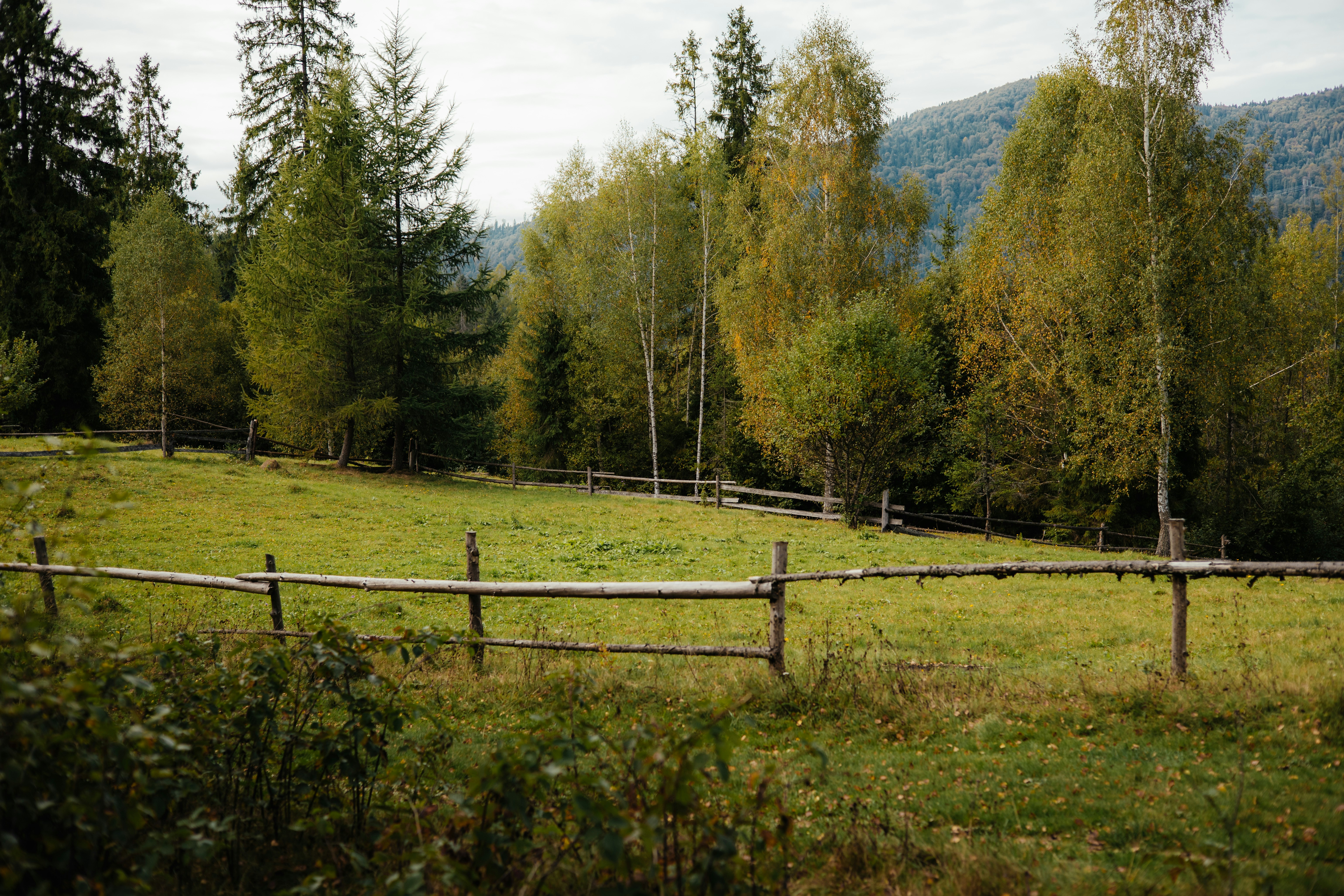 Photo by Anna Blake with Canon EOS RP