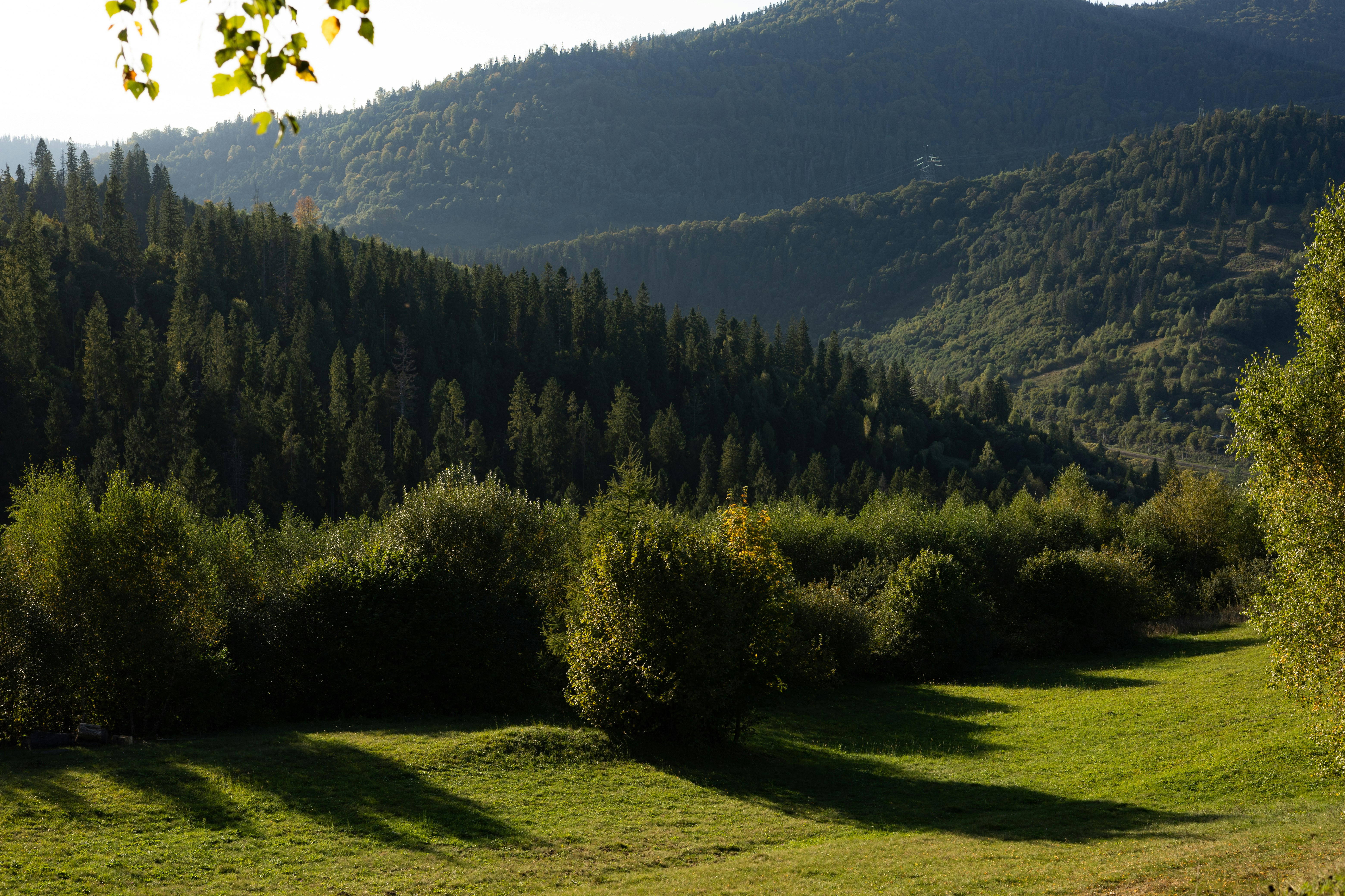 Photo by Anna Blake with Canon EOS RP