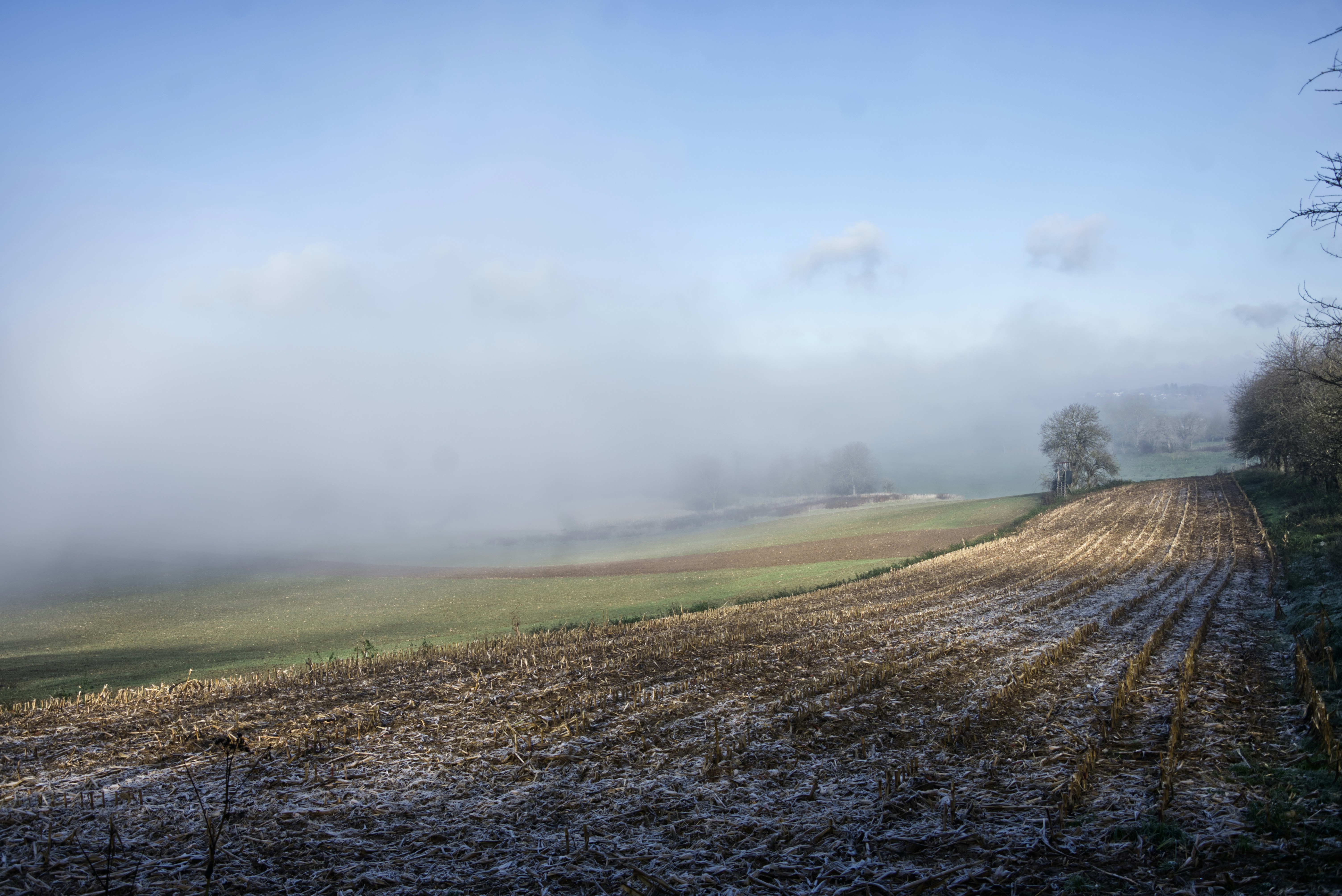 Photo by John Apps with Nikon D7200