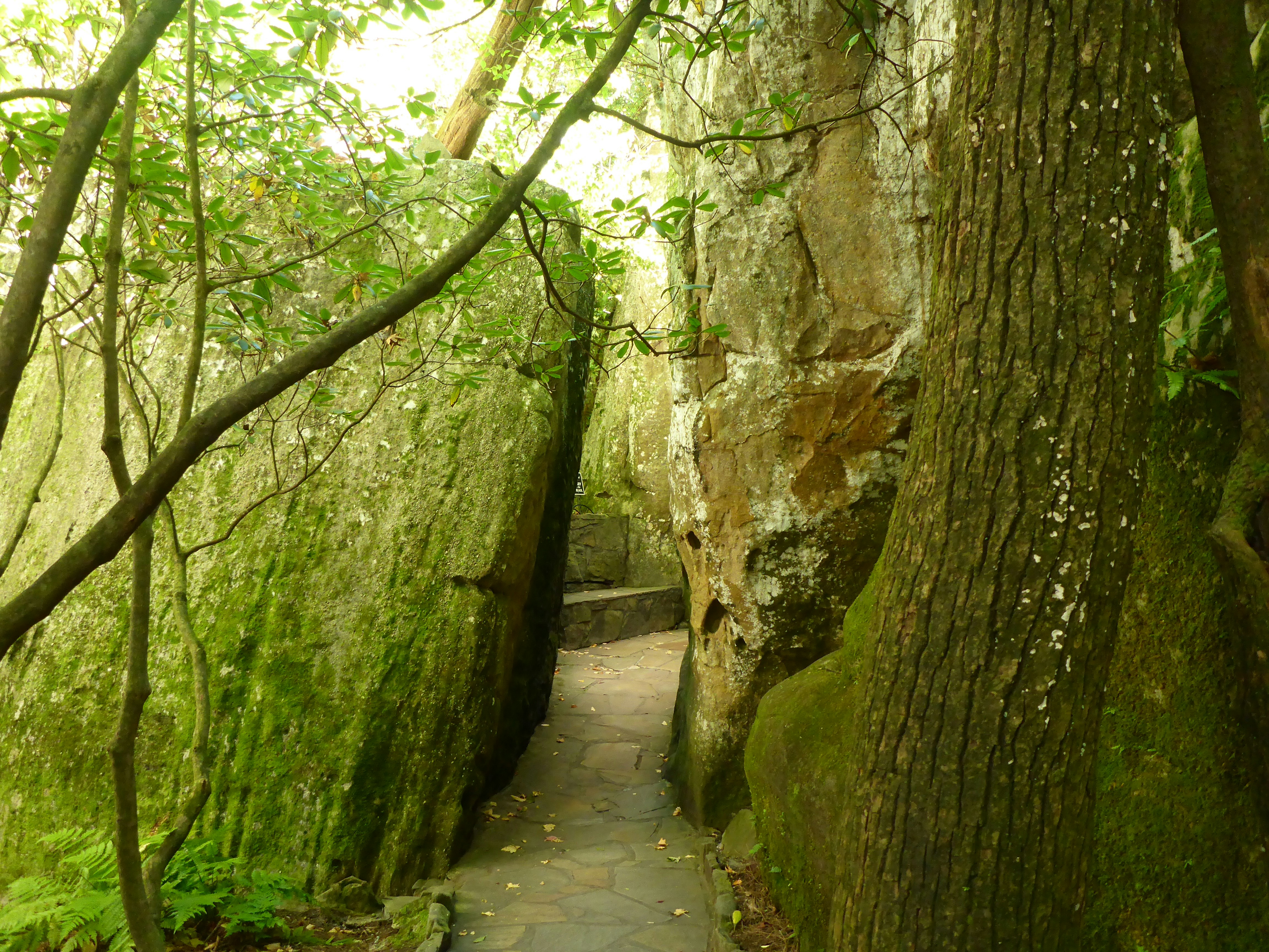 Walking path at Rock City