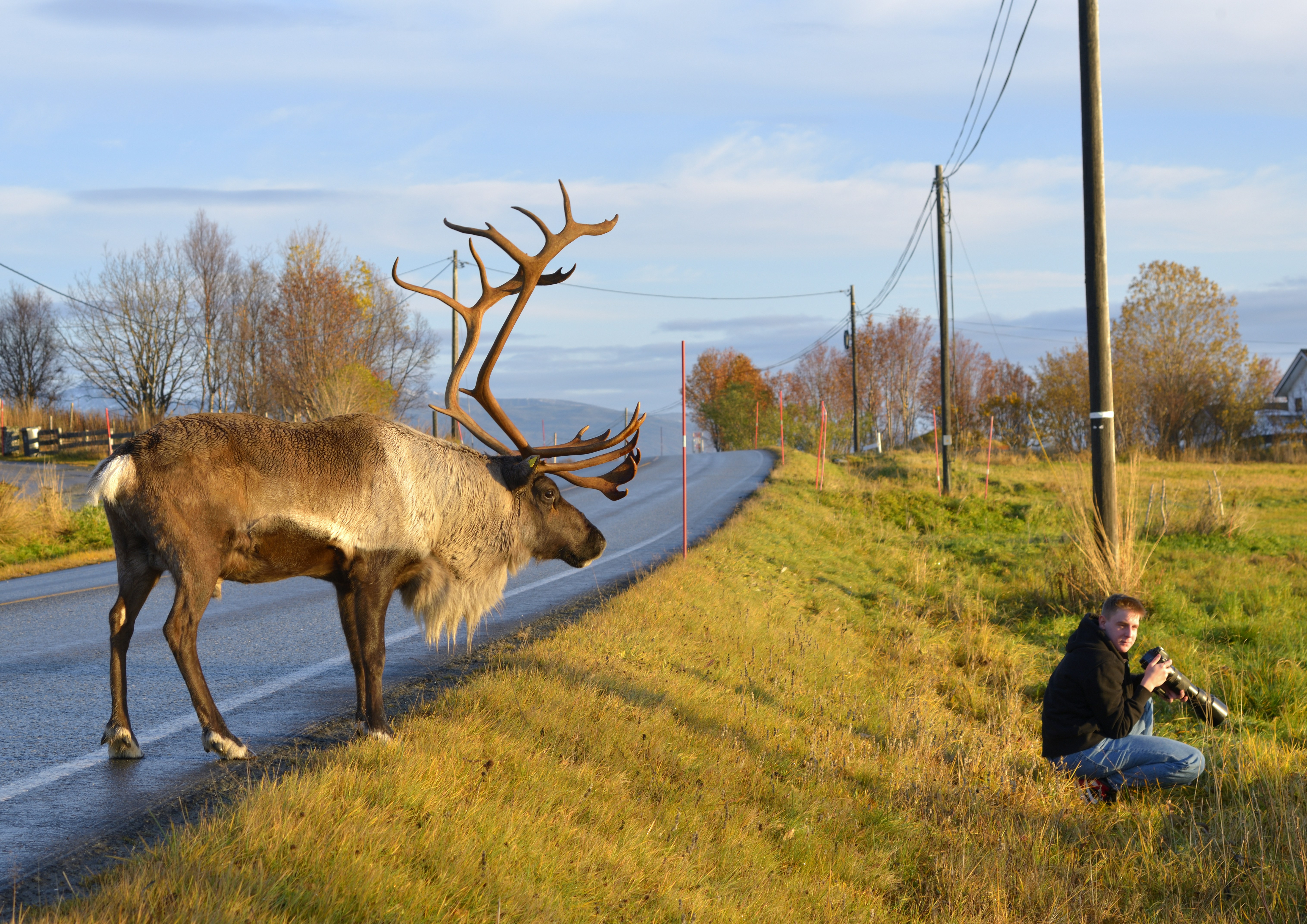 Come on, hurry and take the photo. There are other tourists waiting to take my picture.