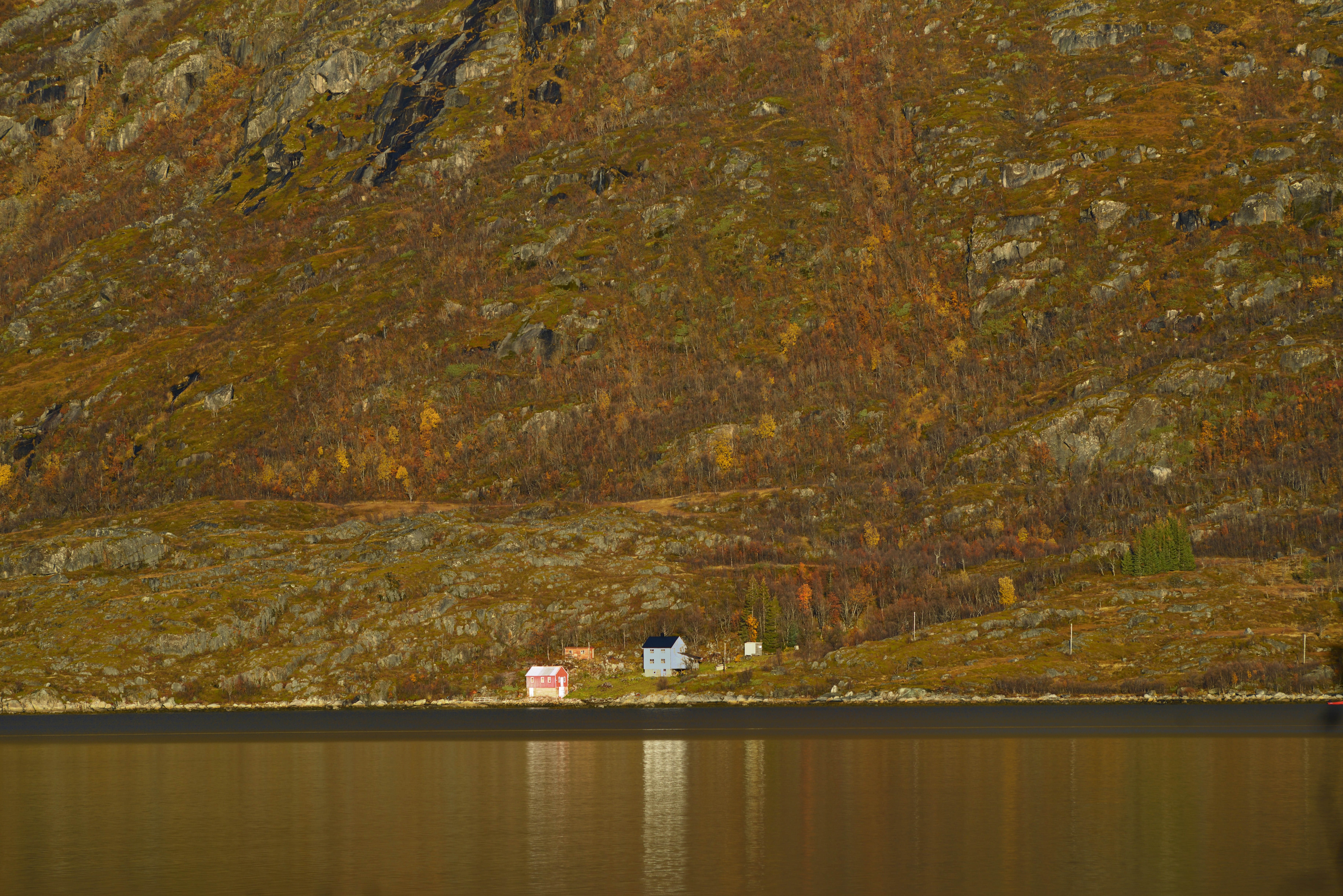 The Tiny Blue House at the Edge of a Glassy Fjord