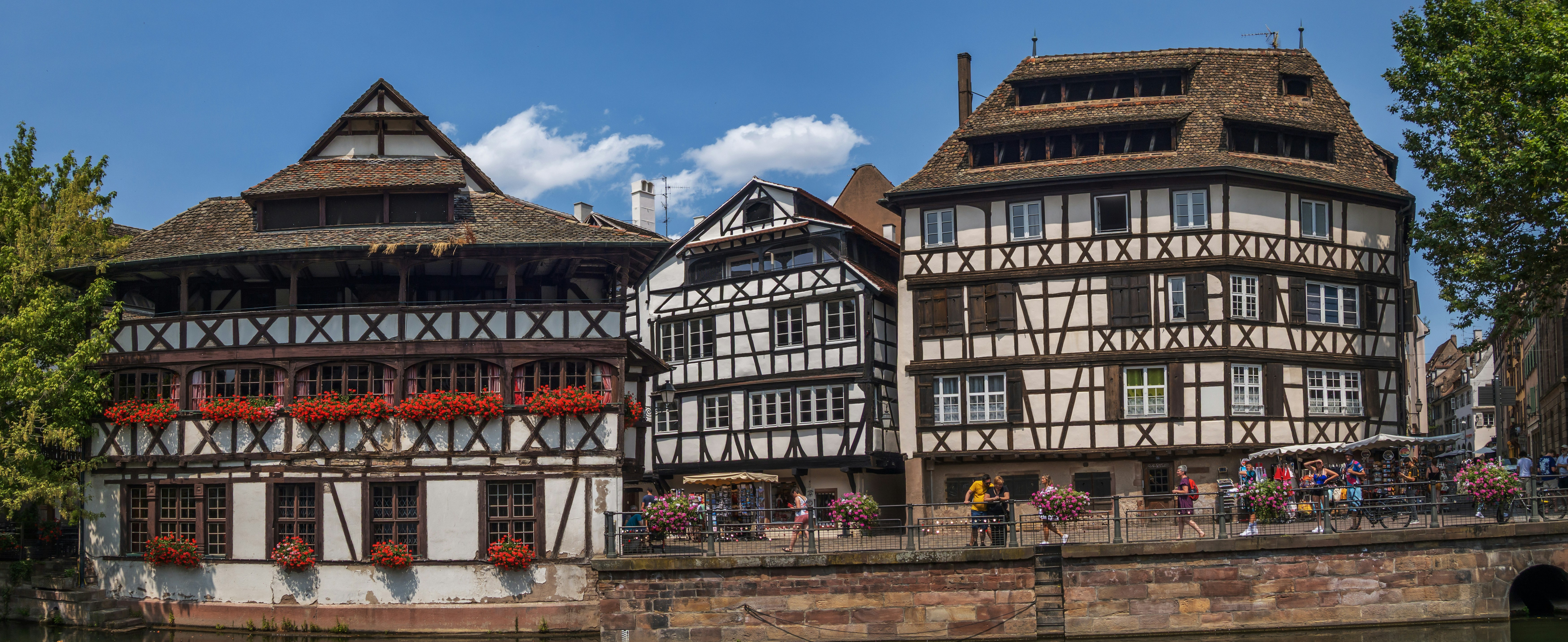 Fachwerk on the Water: A Sunlit Riverside Row of Historic Houses
