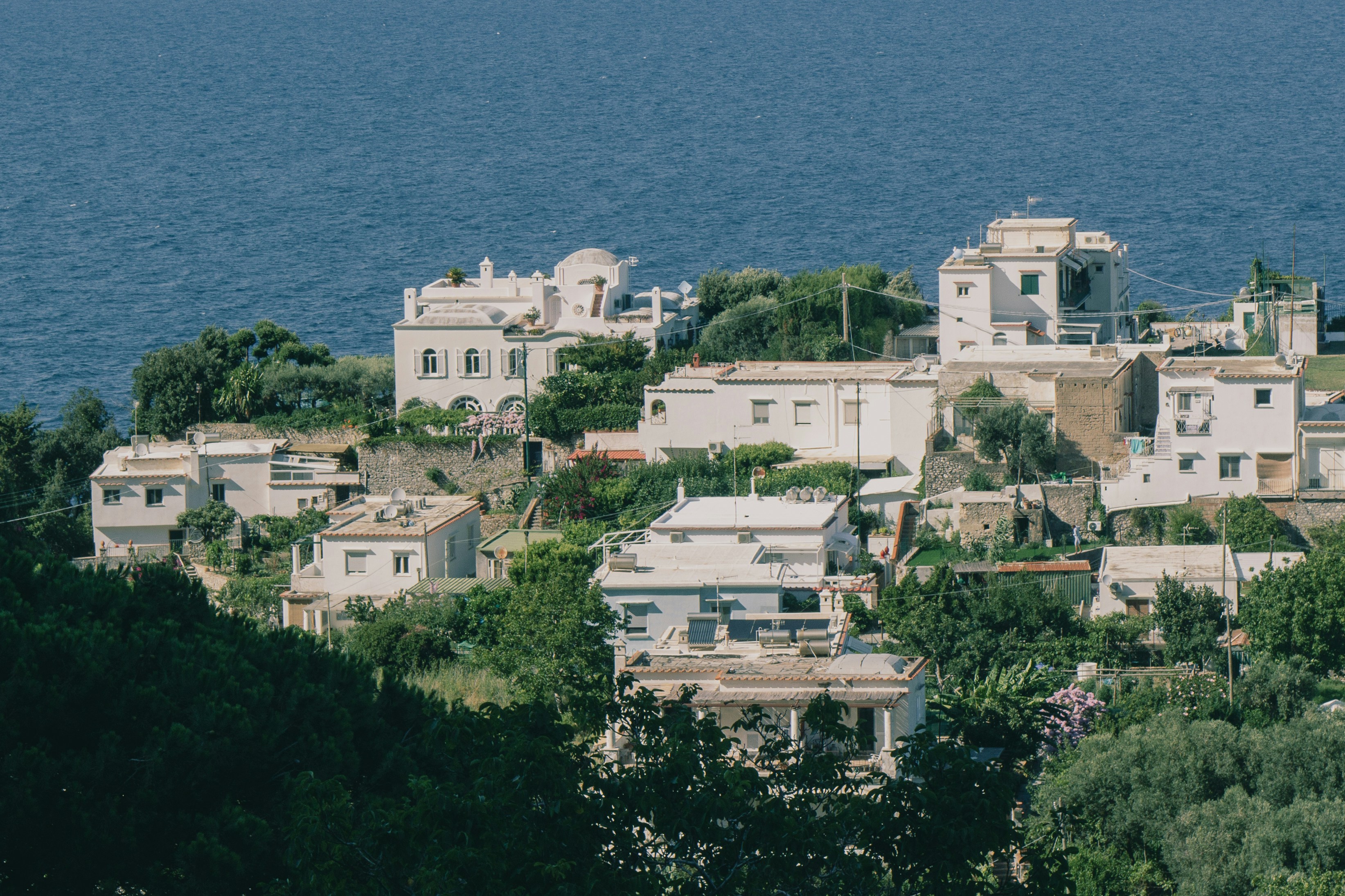 Photo by laura acevedo with Canon EOS 1200D