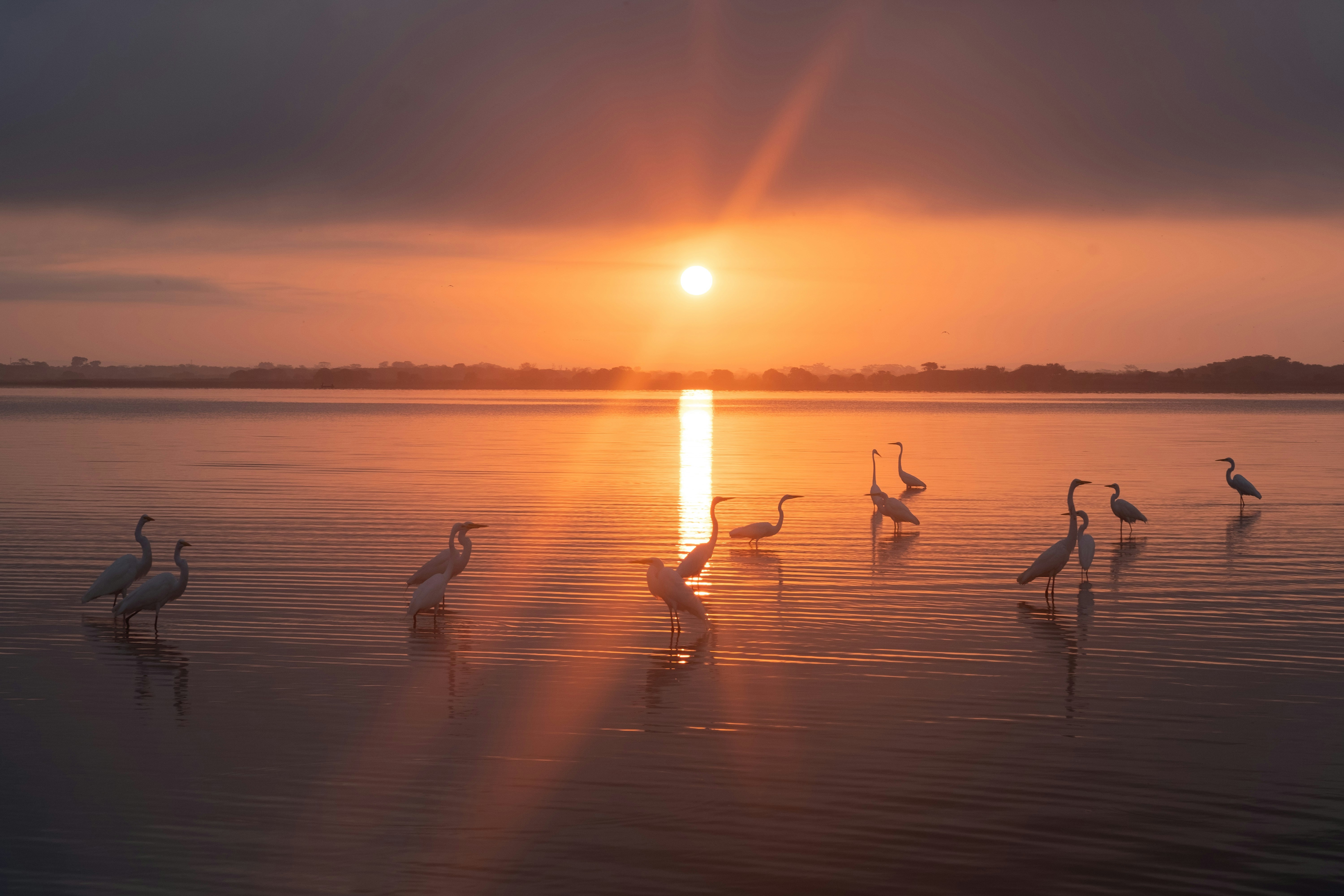 Photo by laura acevedo with Fujifilm X-T2