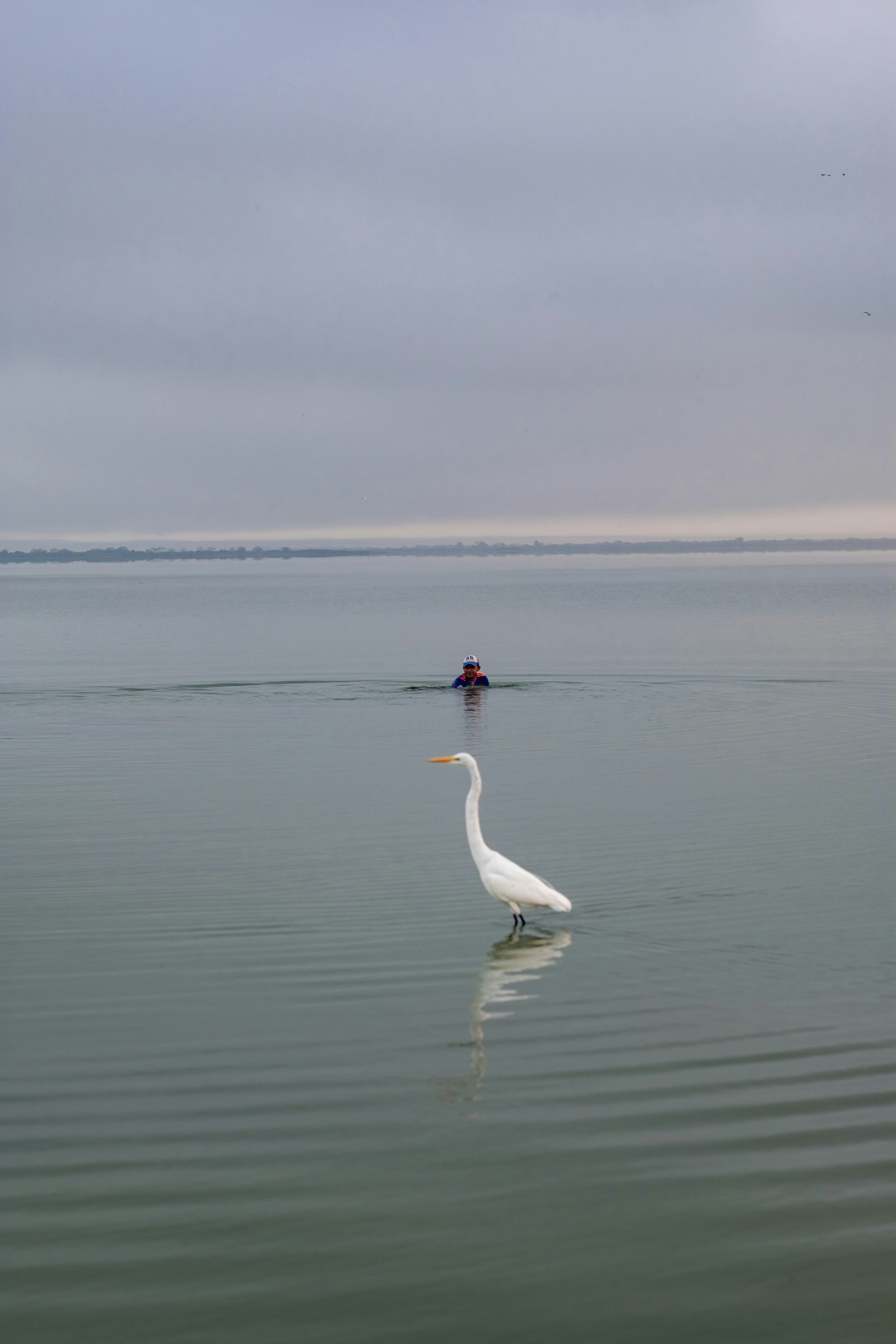 Photo by laura acevedo with Fujifilm X-T2