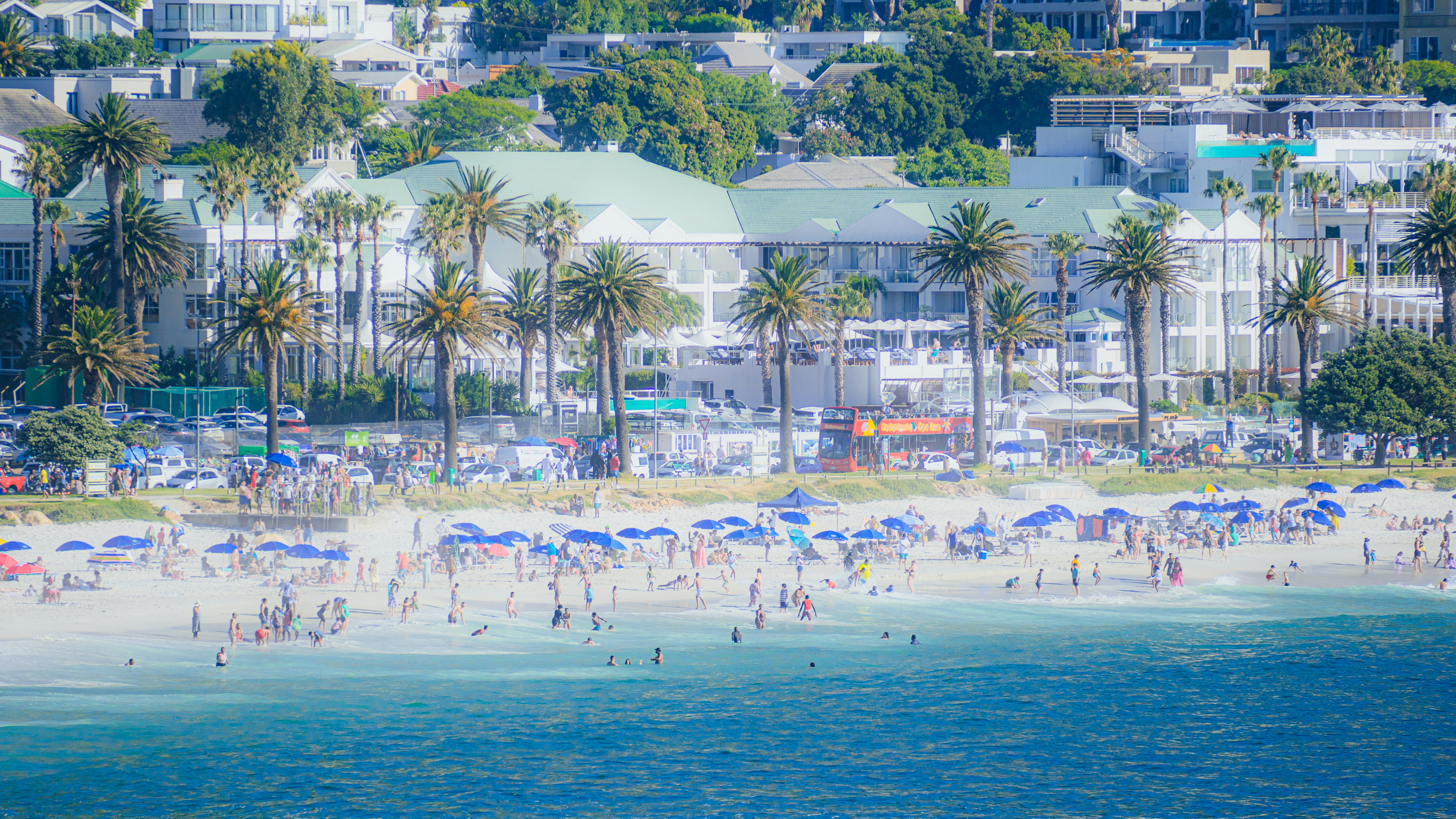 Sunlit Promenade: Palm-Fringed Beachfront Buzz