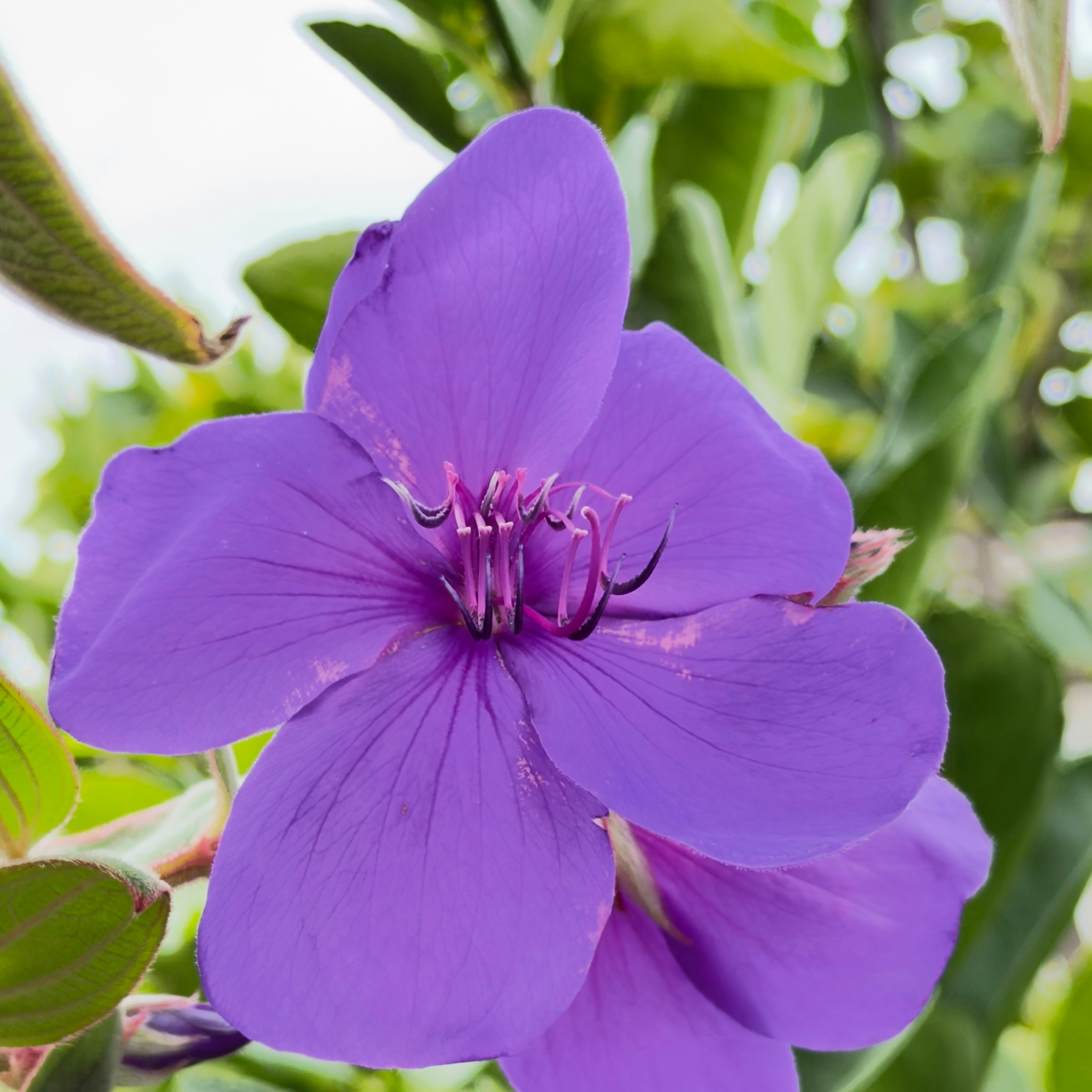 Sonal Gupta (@sonalgupta) | Unsplash 사진 커뮤니티