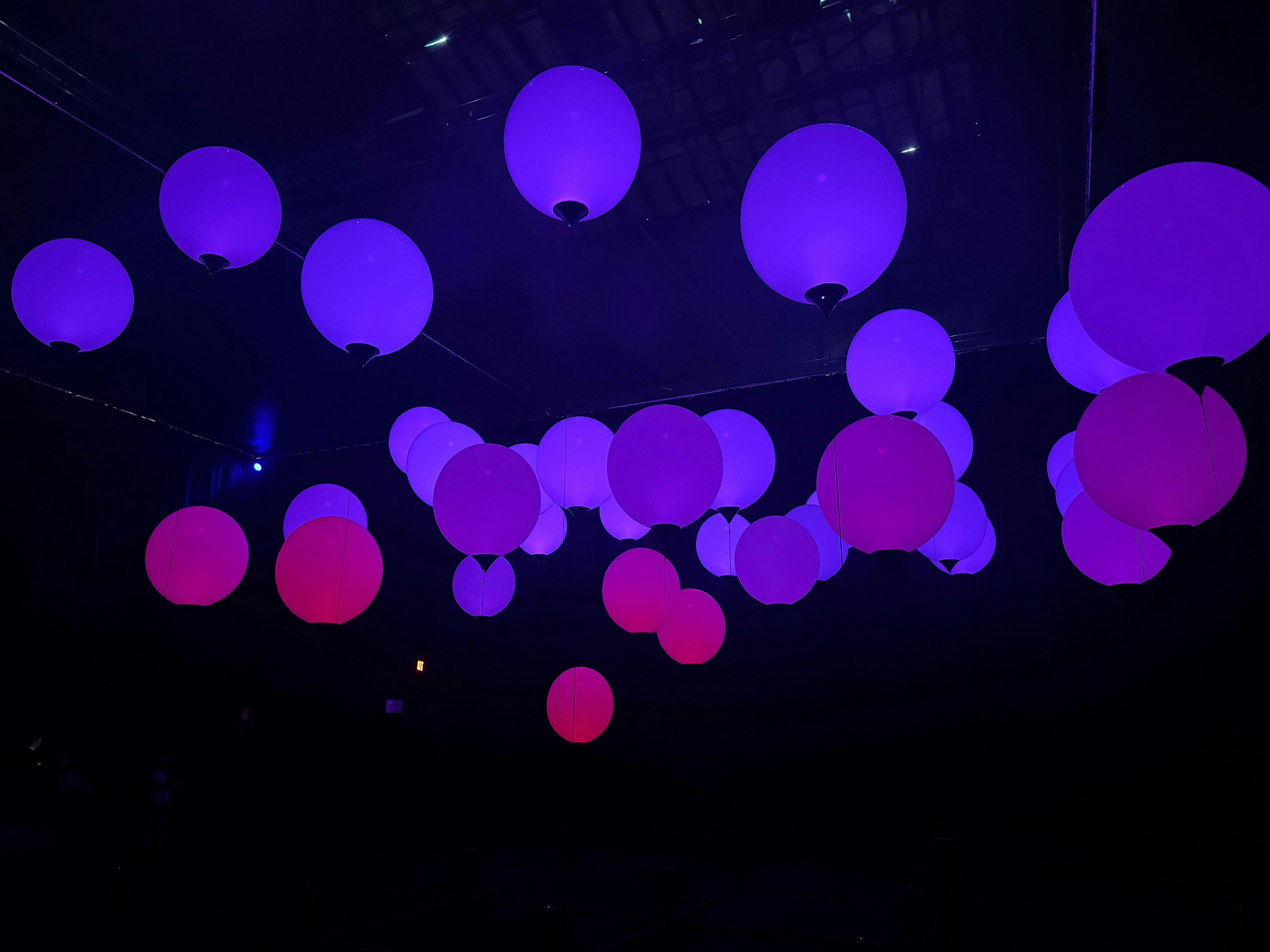 Sonal Gupta (@sonalgupta) | Unsplash 사진 커뮤니티