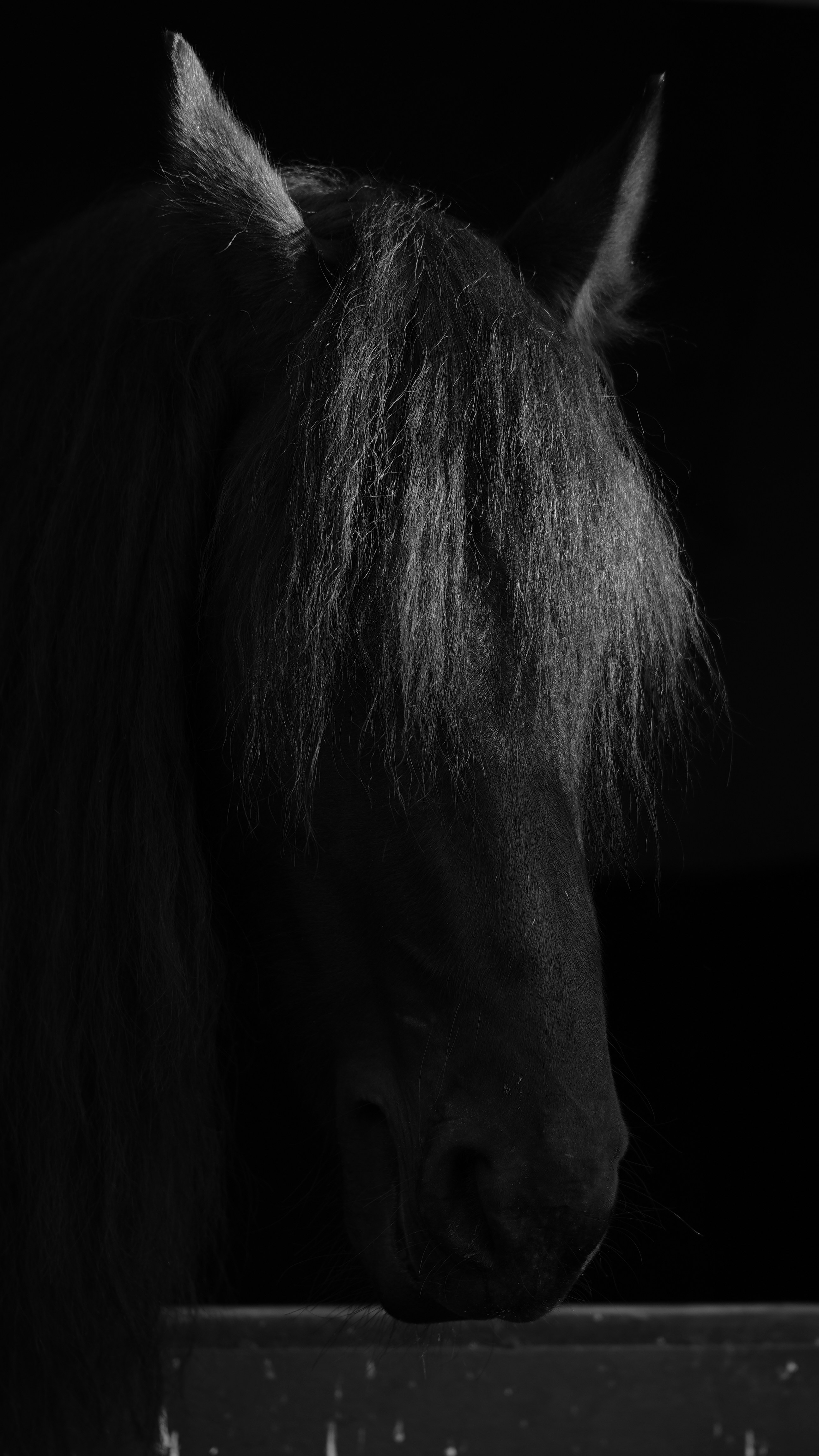 Photo by Mert Yüce with Sony Alpha 7 IV