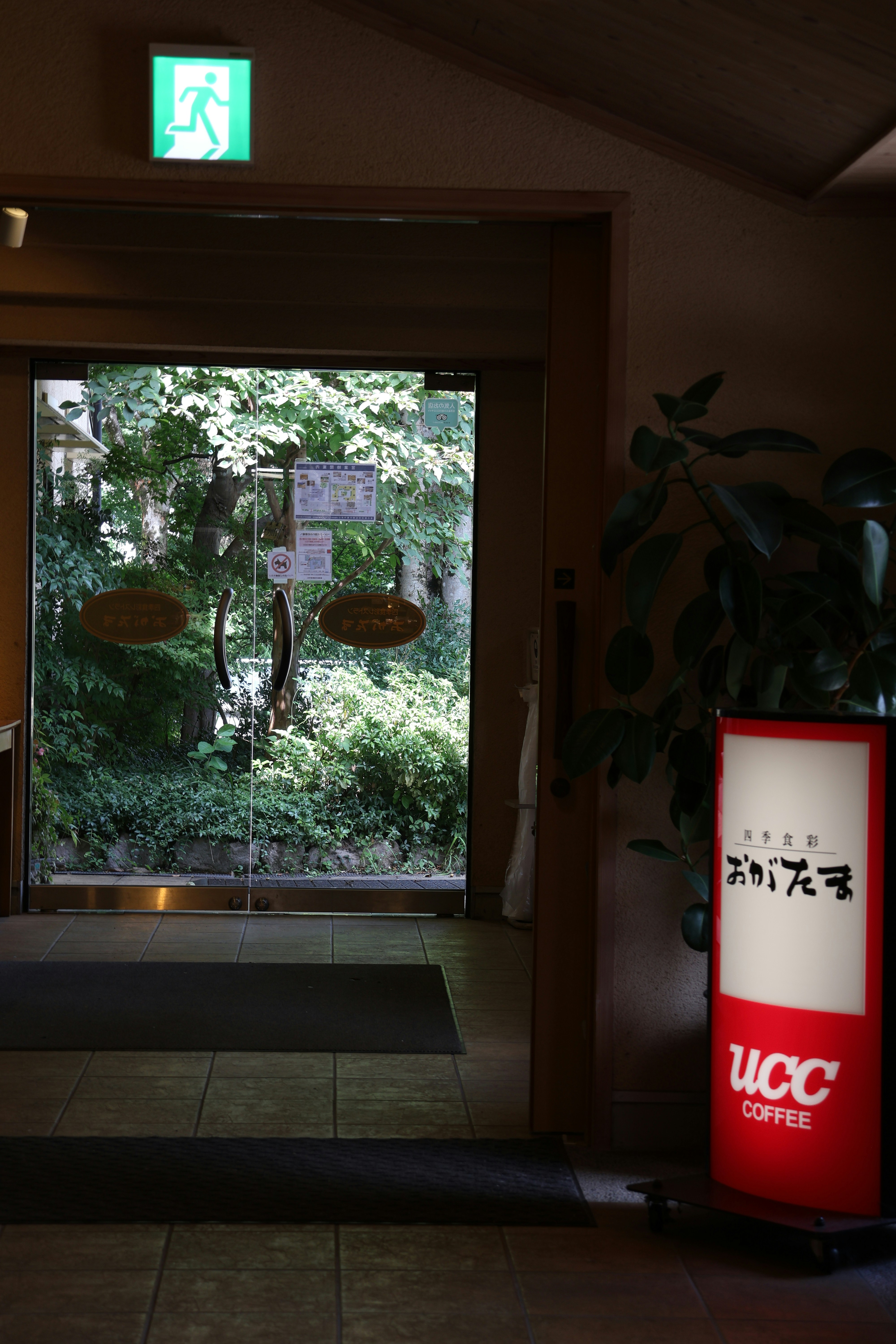 Doorway Garden: Greenery Framed by a Quiet Lobby