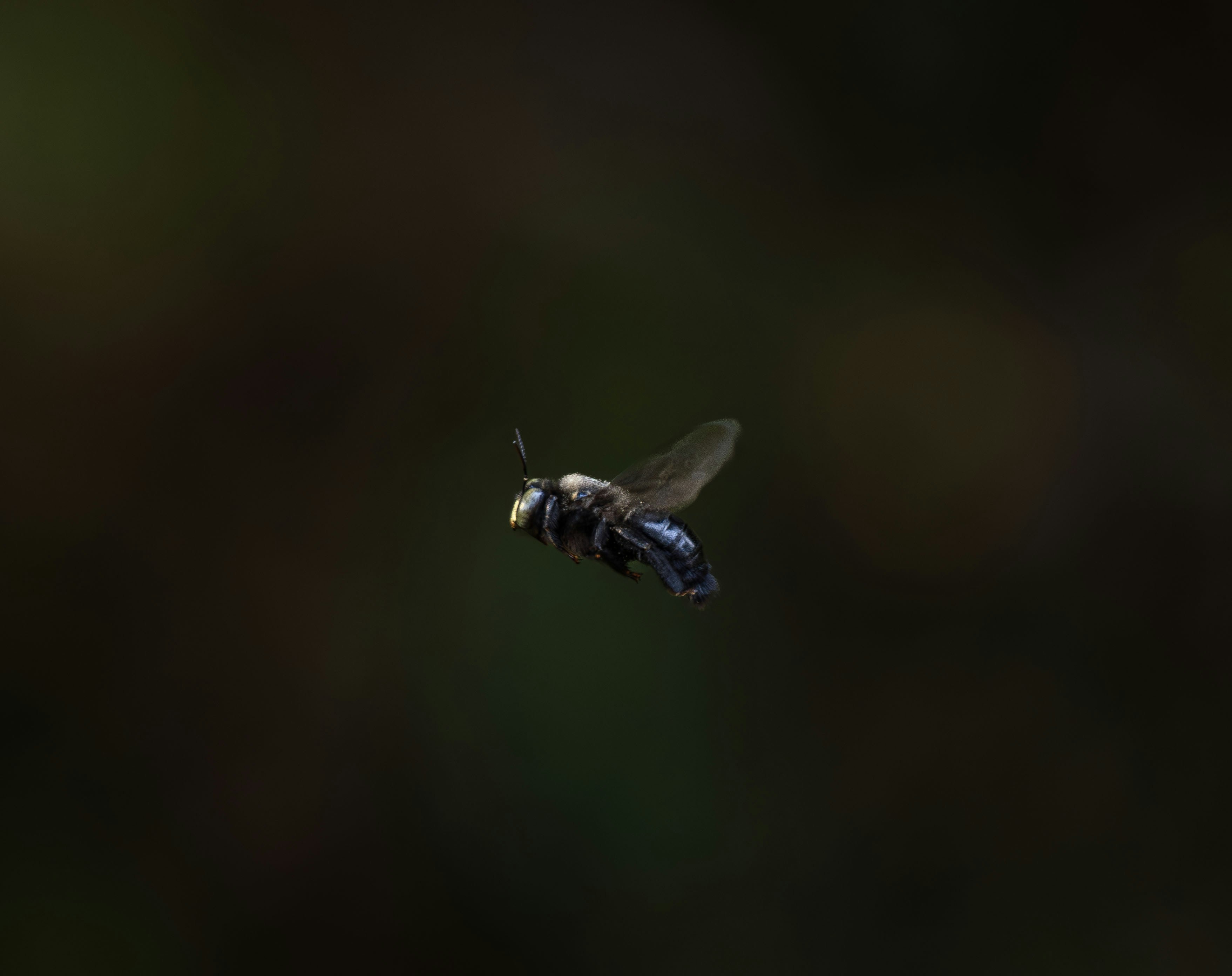 Photo by Alfonso Betancourt with Canon EOS R