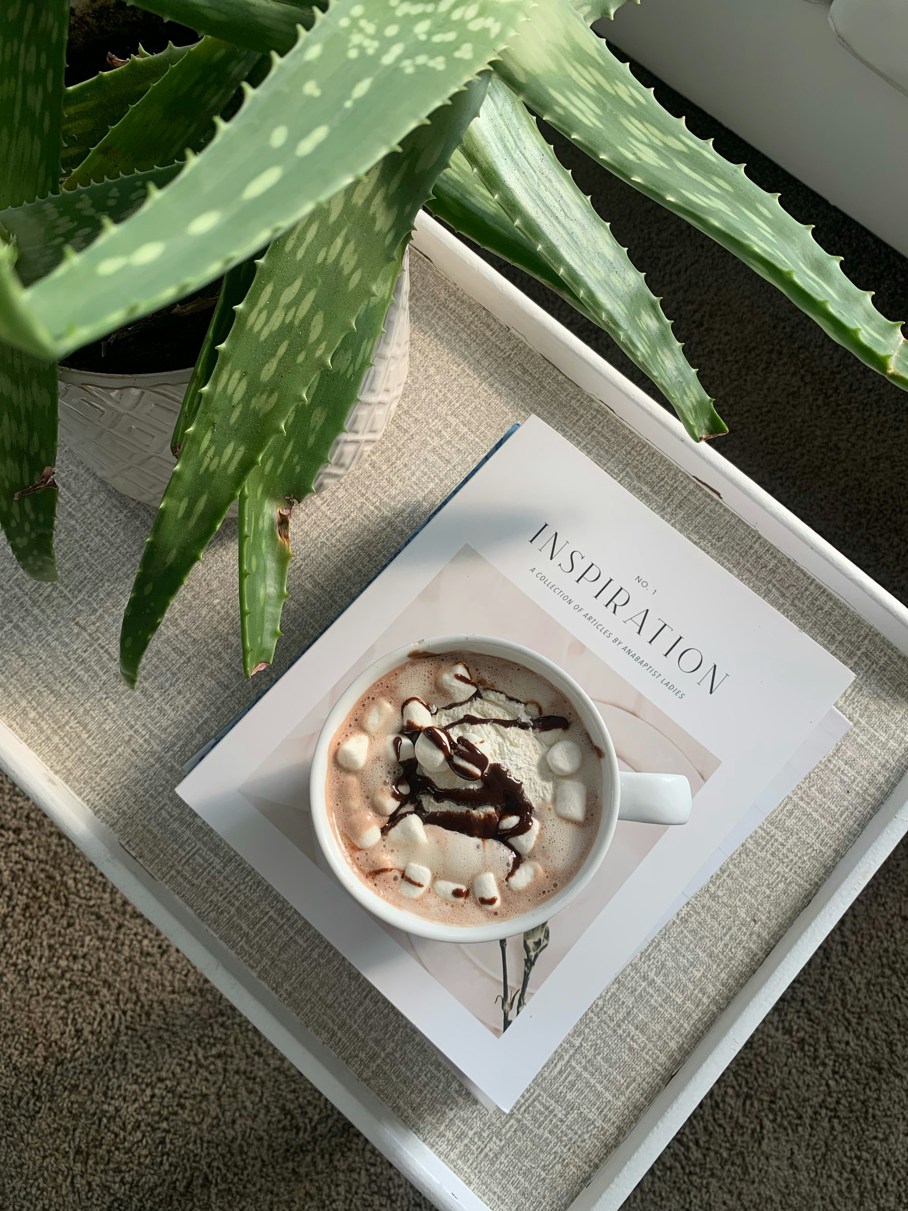 Marshmallow Cocoa on a Quiet Tray of Inspiration