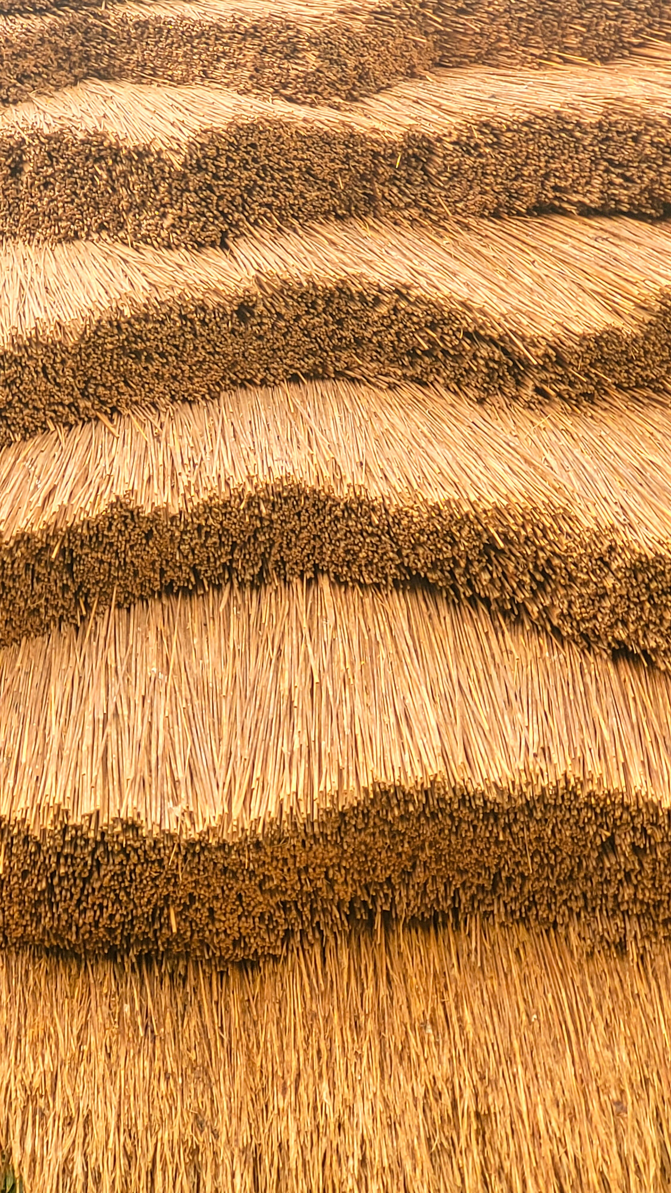 Photo by Waldemar Brandt with Samsung Galaxy S20 FE