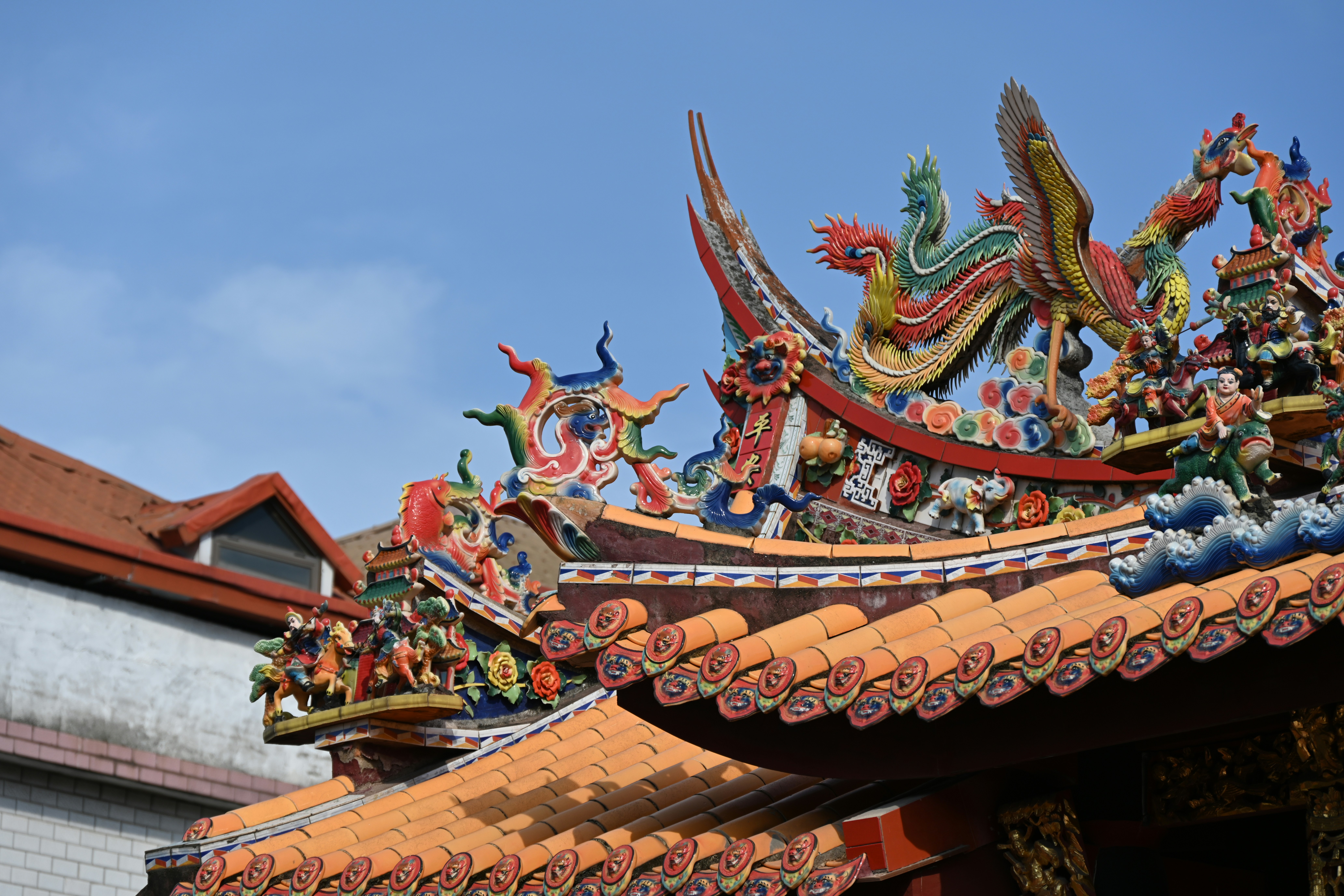 Photo by Haoyuan Luo with Nikon Z7 II