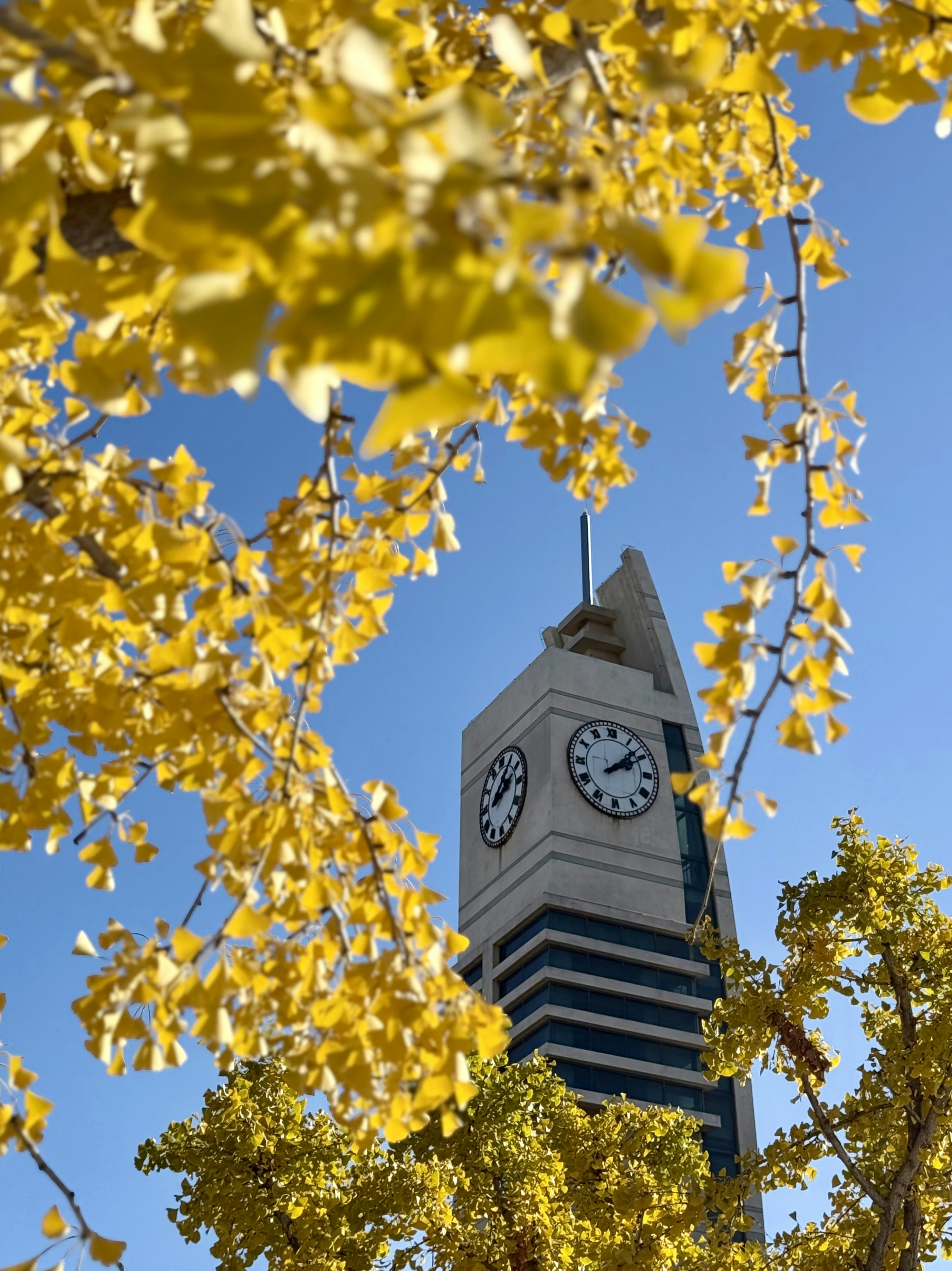 Photo by Abyss Schuring with Apple iPhone 16 Pro