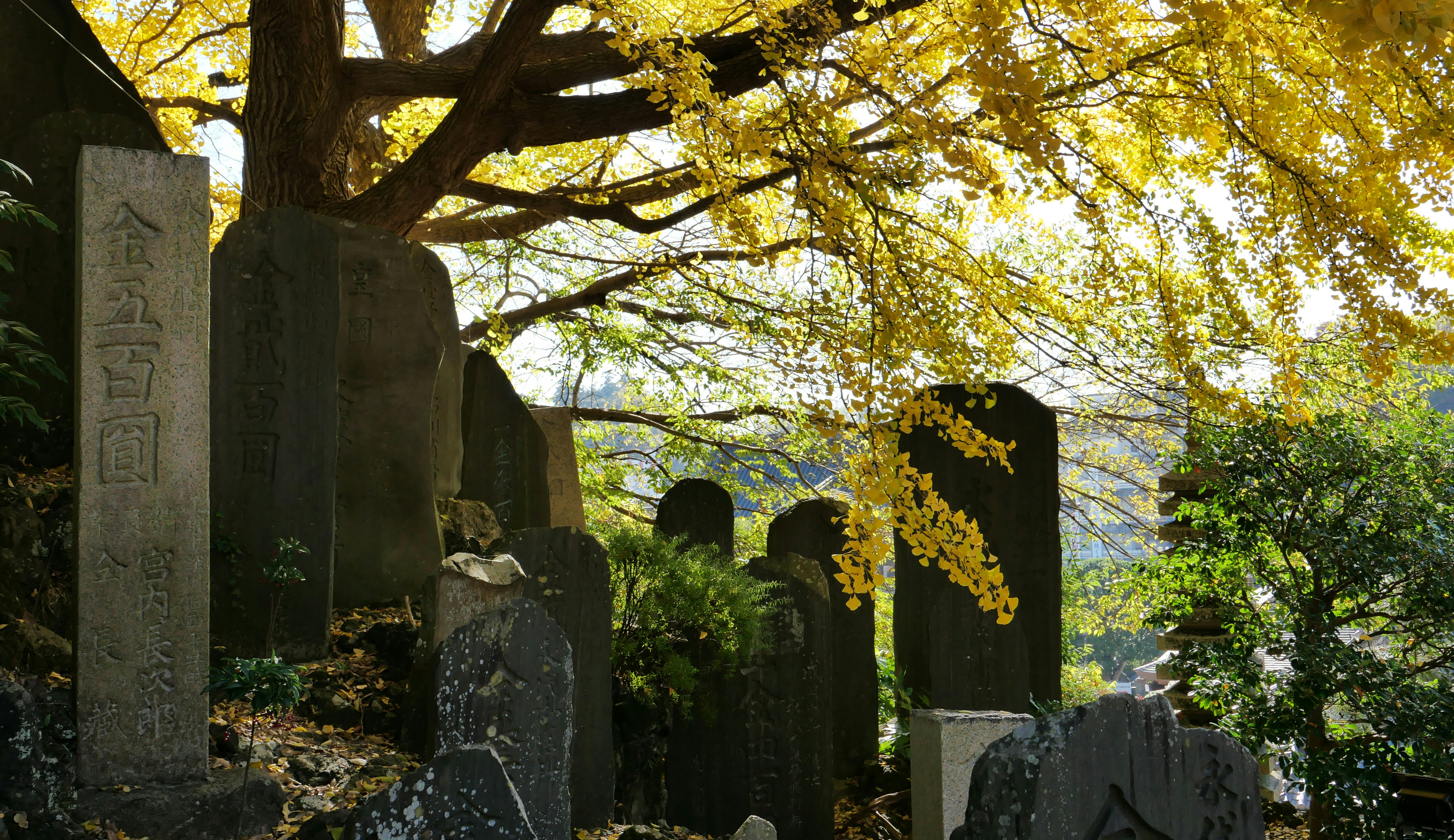 Naritasan Shinshoji Temple