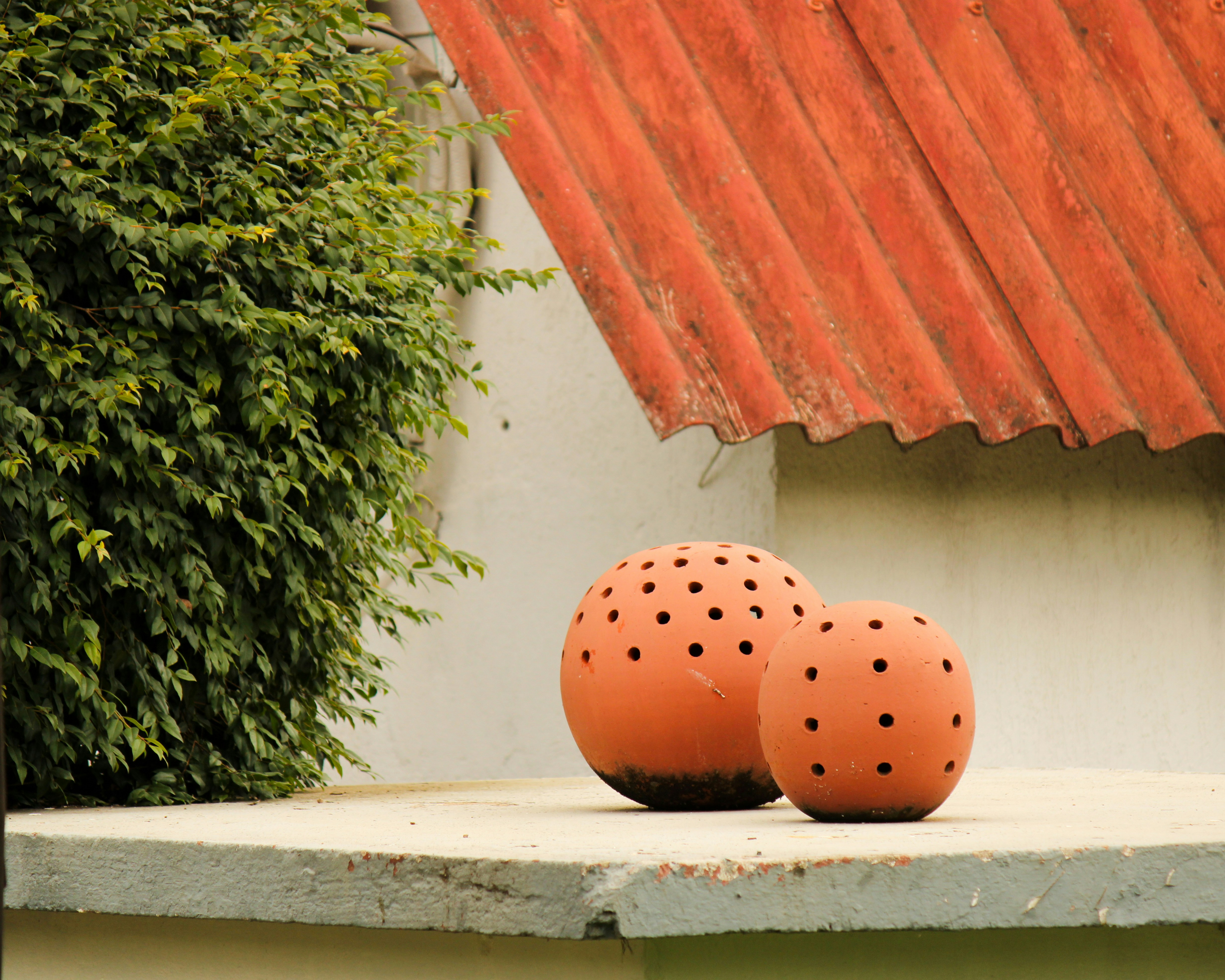 Photo by Paulo Pescada with Canon EOS 2000D