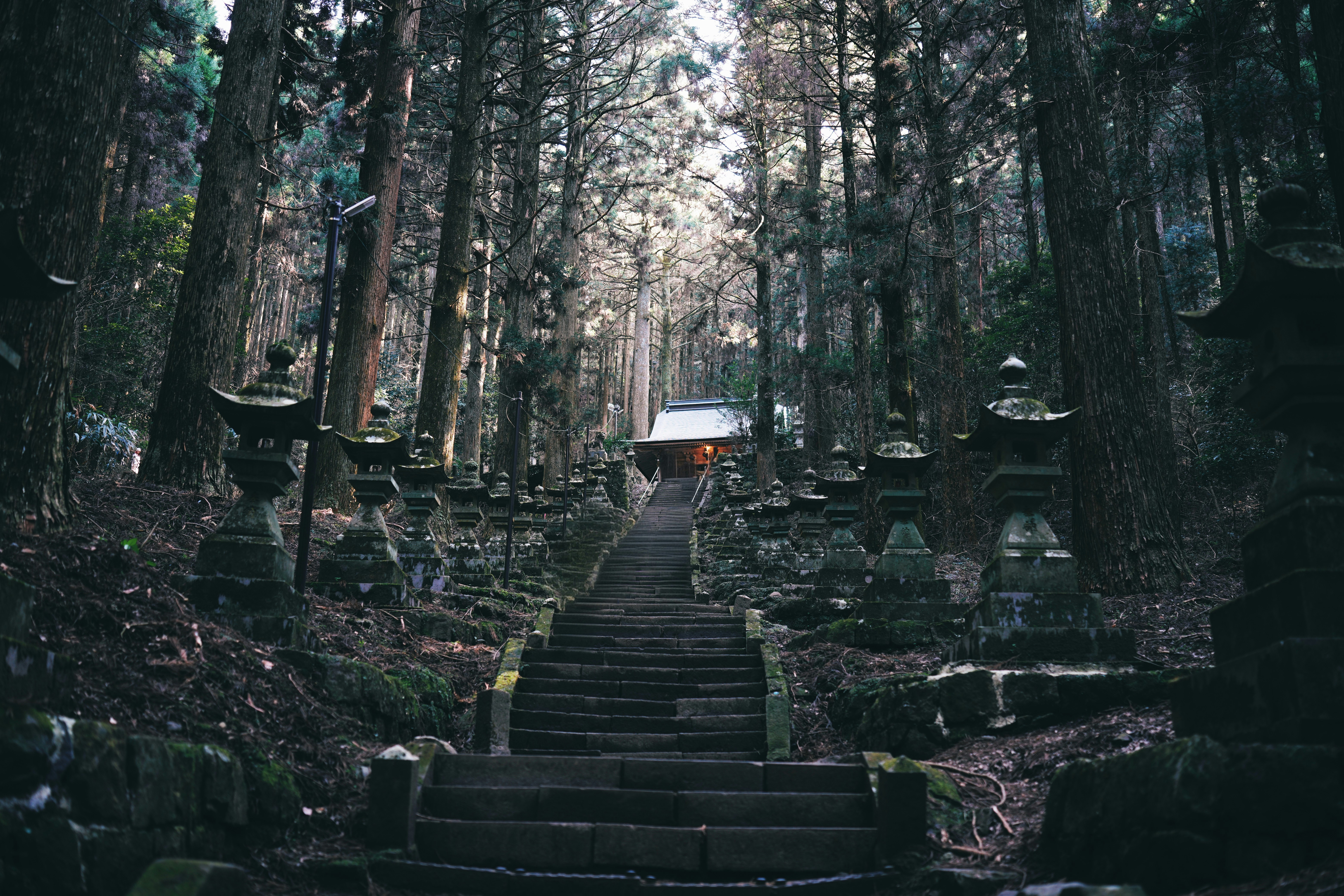 Photo by alizy xiao with Sony Alpha 7R V