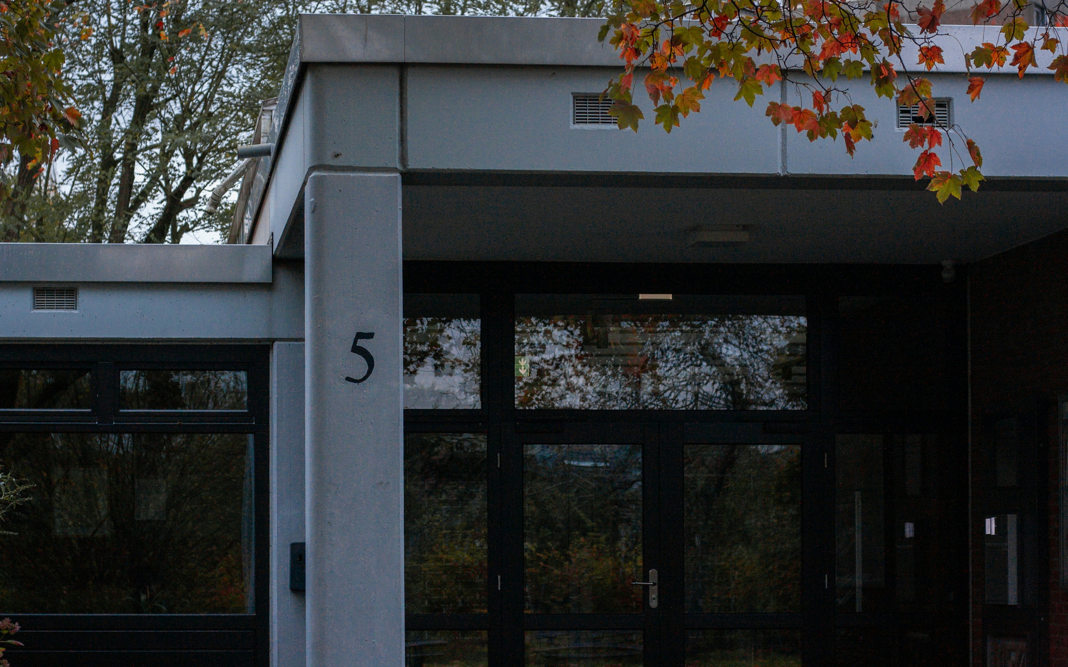 Modern glass-front doorway framed by a concrete portico with autumn leaves overhead.