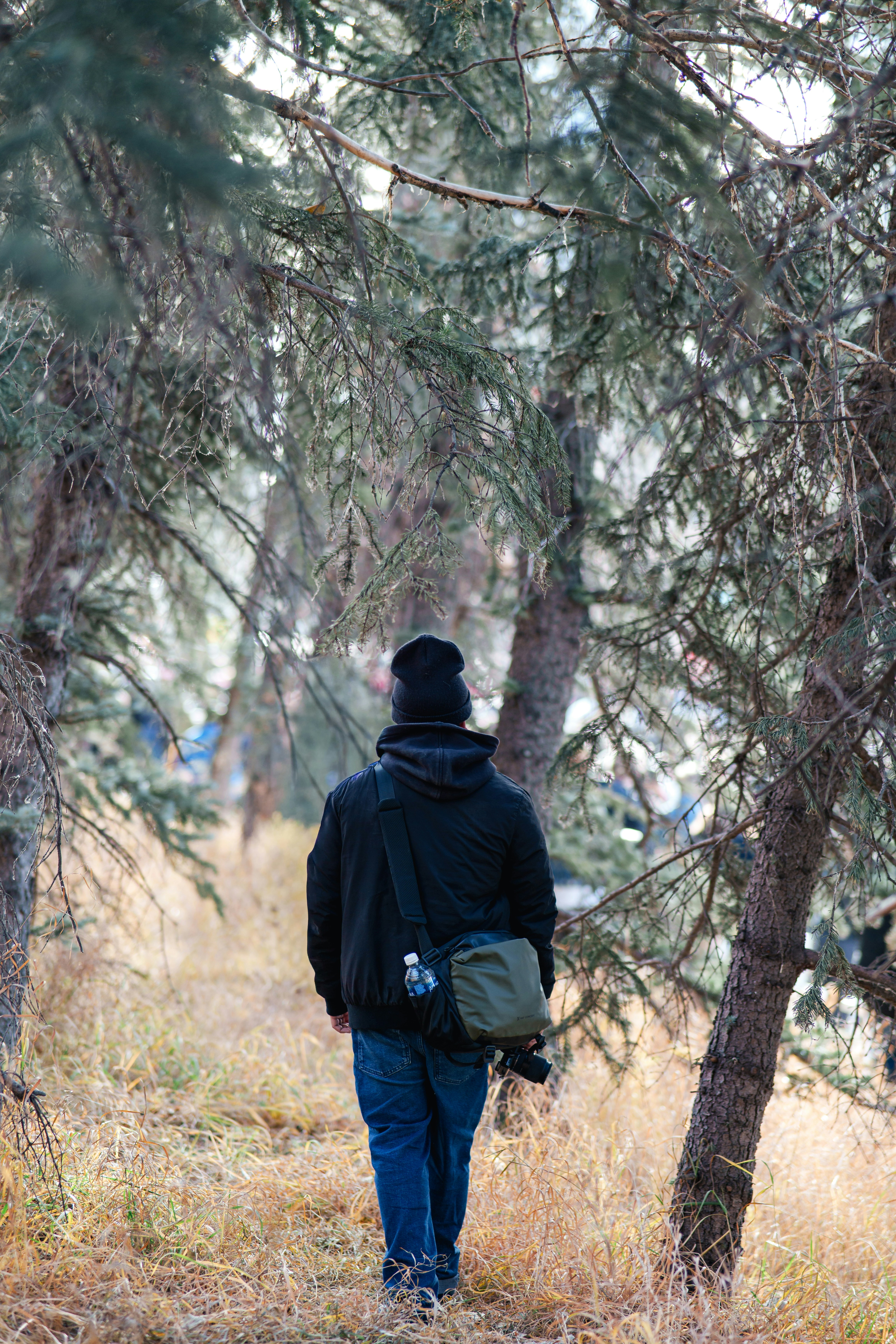 Photo by Josh Marty with Sony Alpha 7 IV