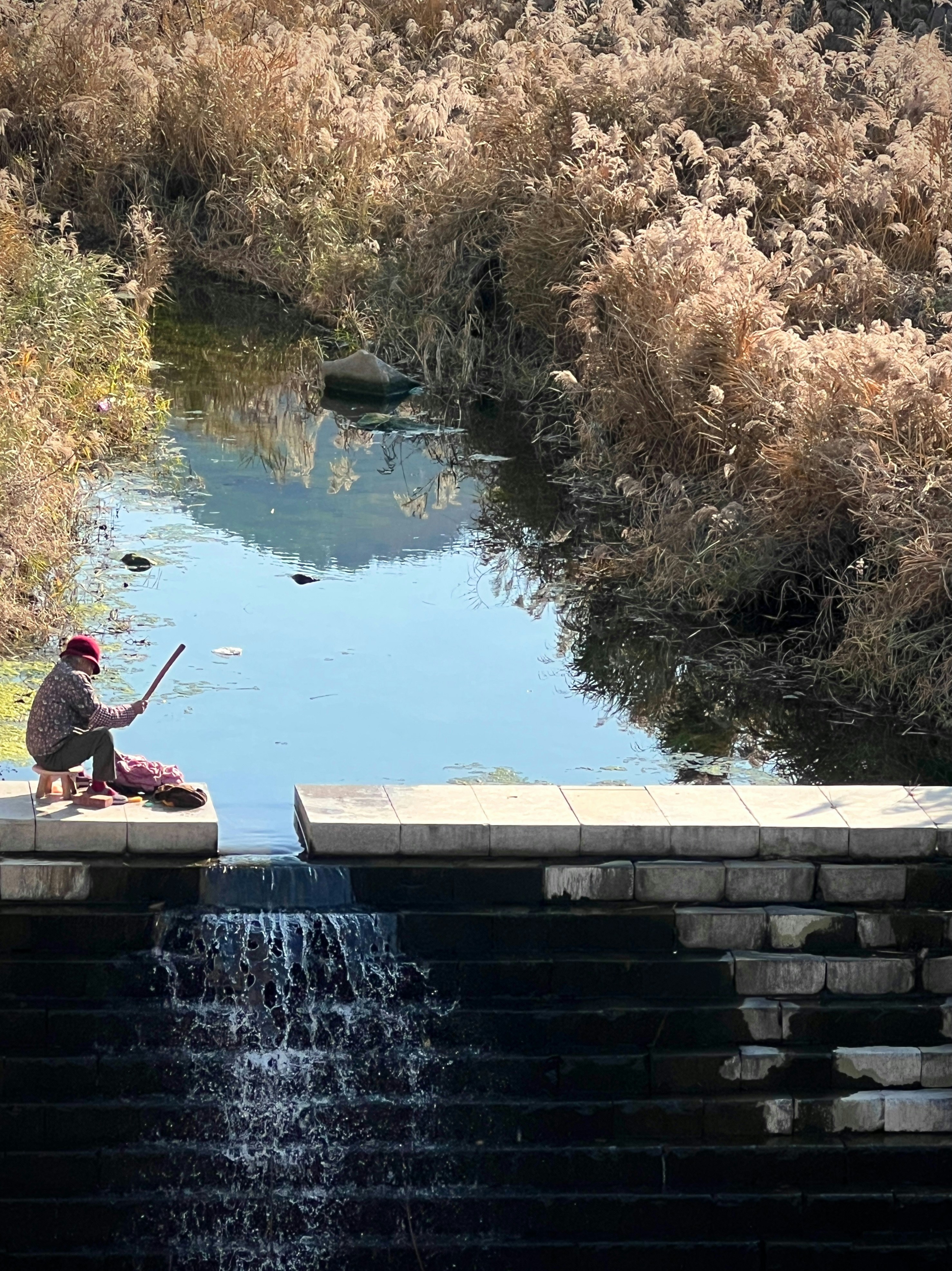 Photo by Leo Liu with Apple iPhone 13 Pro