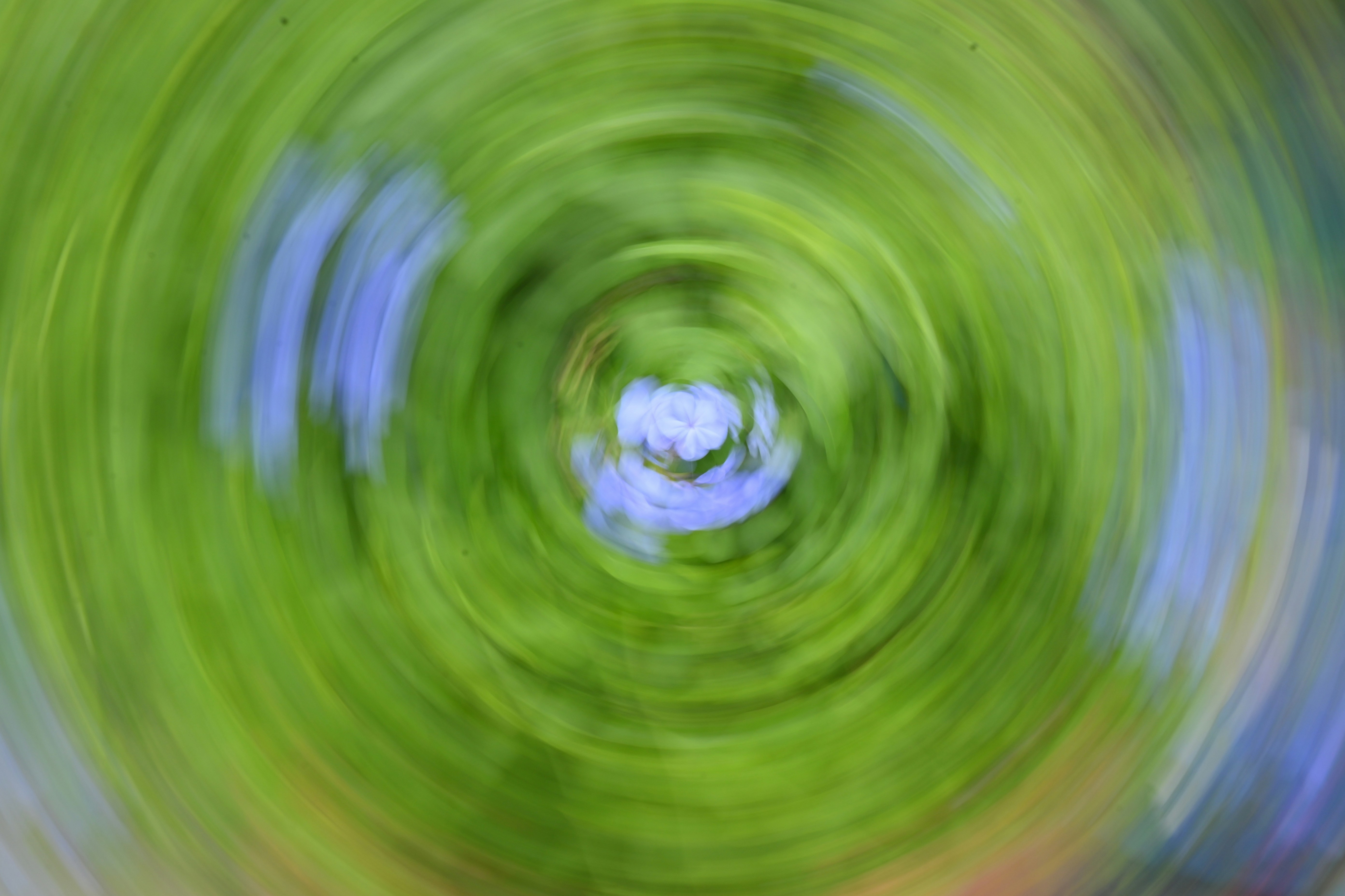 Photo by Xiang Qiu with Nikon Z30