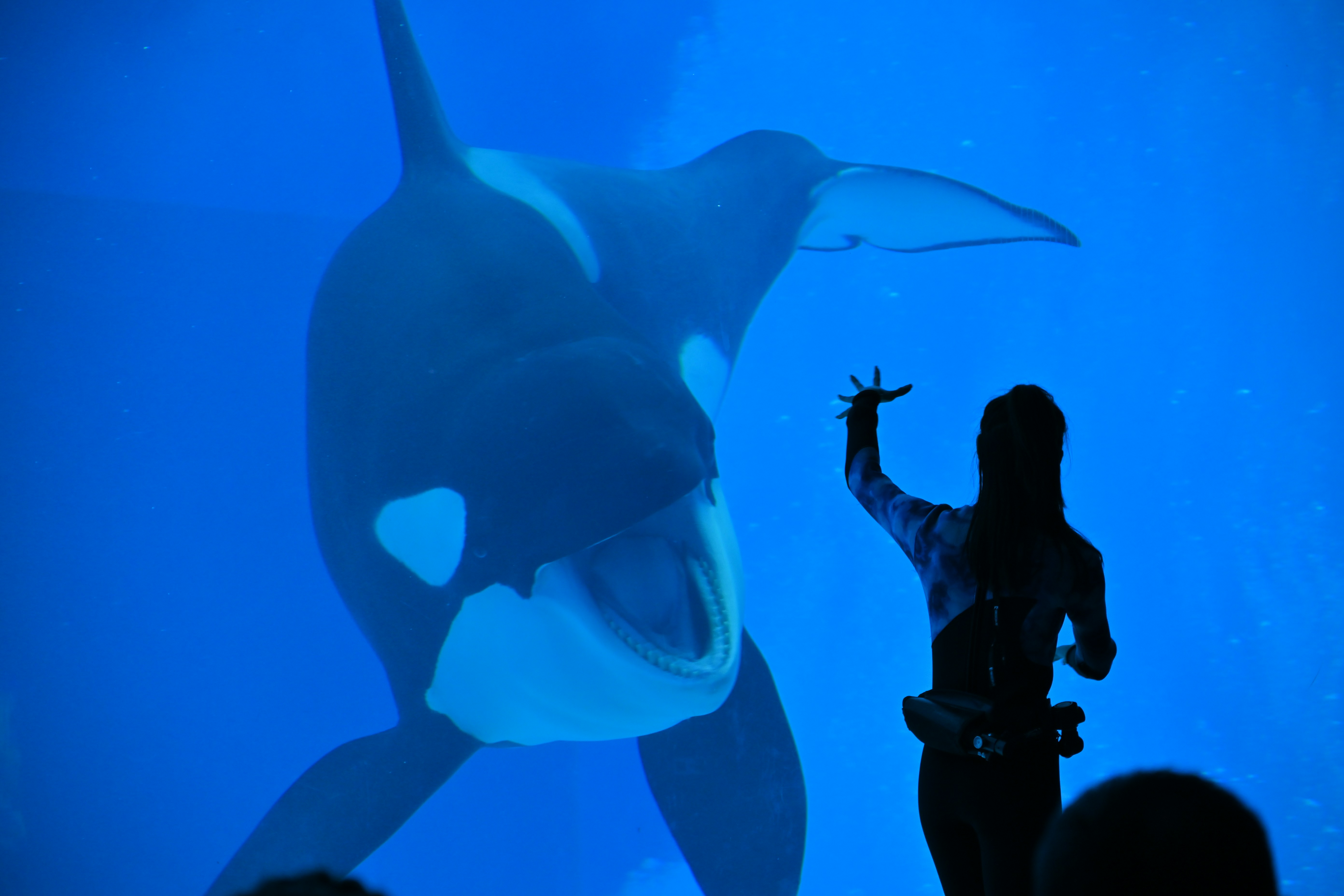 Photo by Xiang Qiu with Nikon Z30