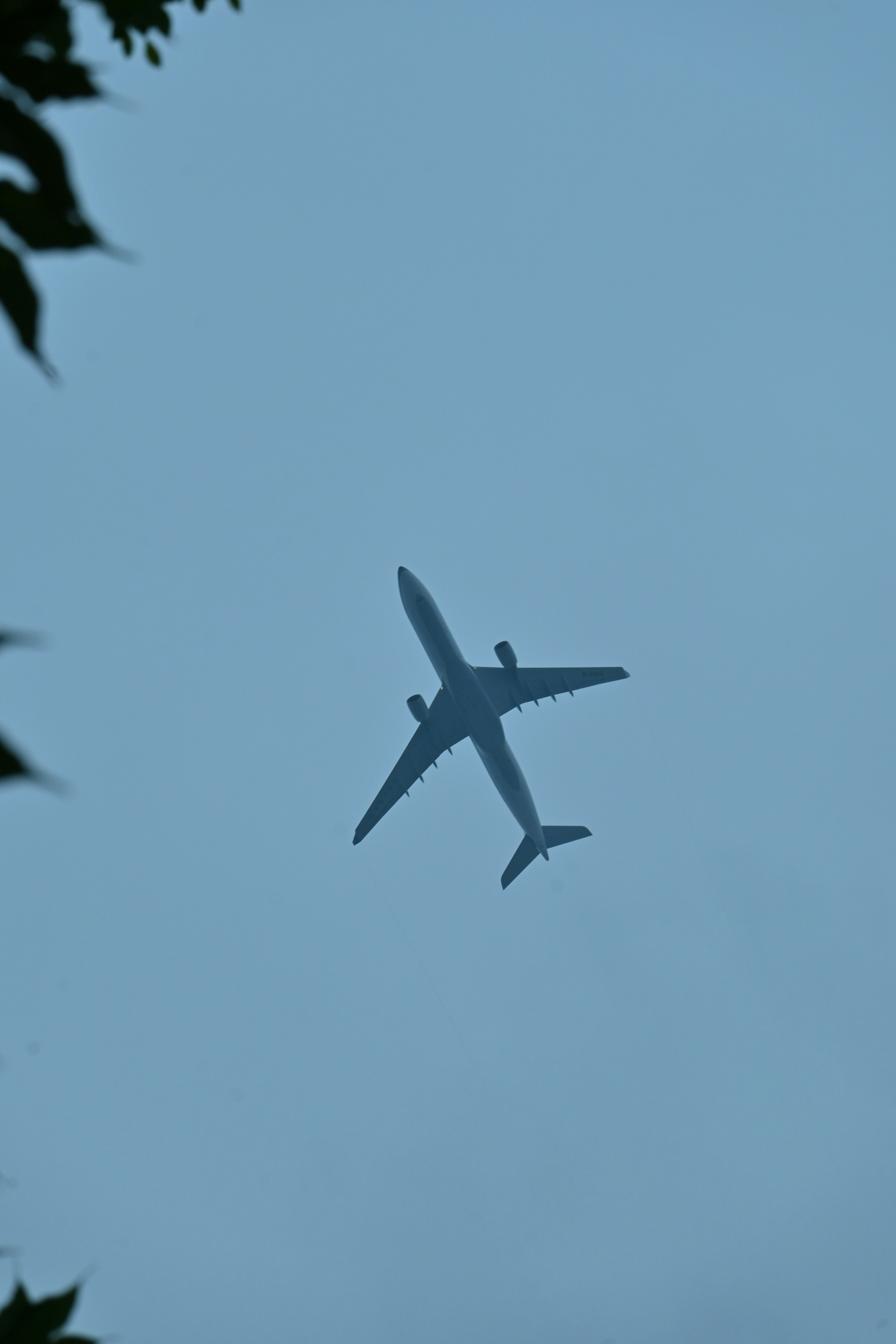 Photo by Xiang Qiu with Nikon Z30