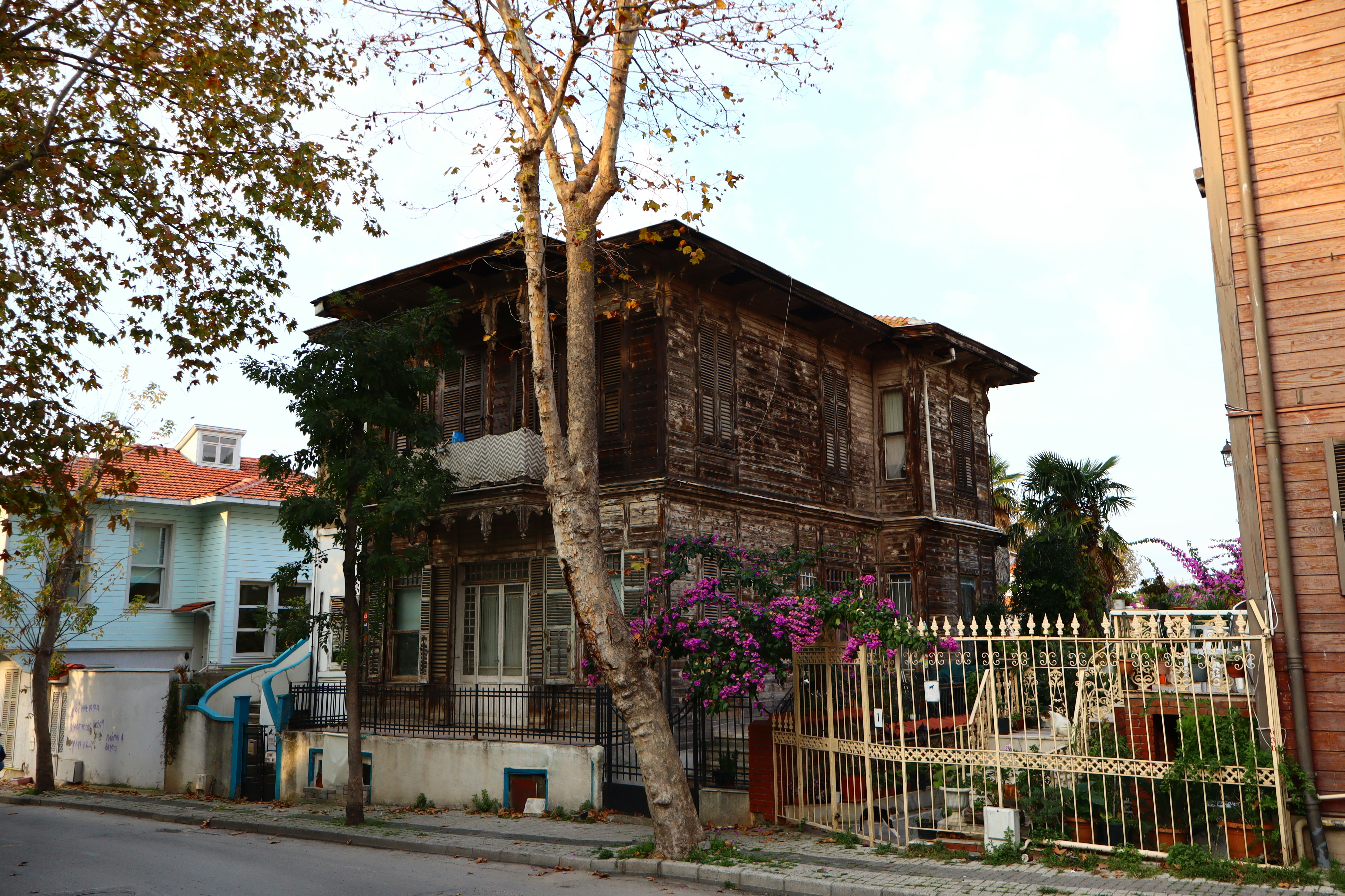Weathered Two-Story Wooden House Framed by a Leaning Tree and Blooming Garden