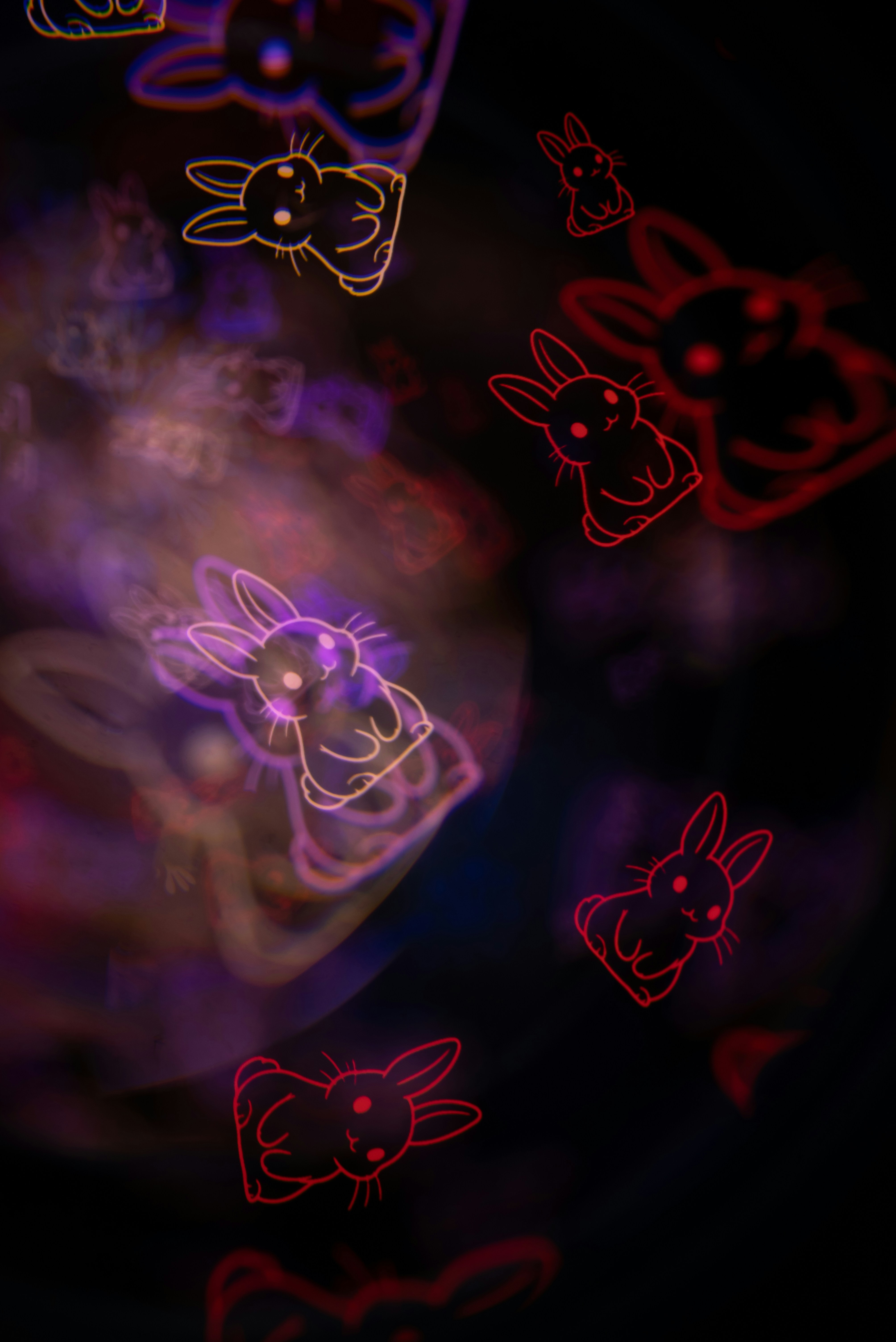 Neon Bunny Parade in a Velvet Blur
