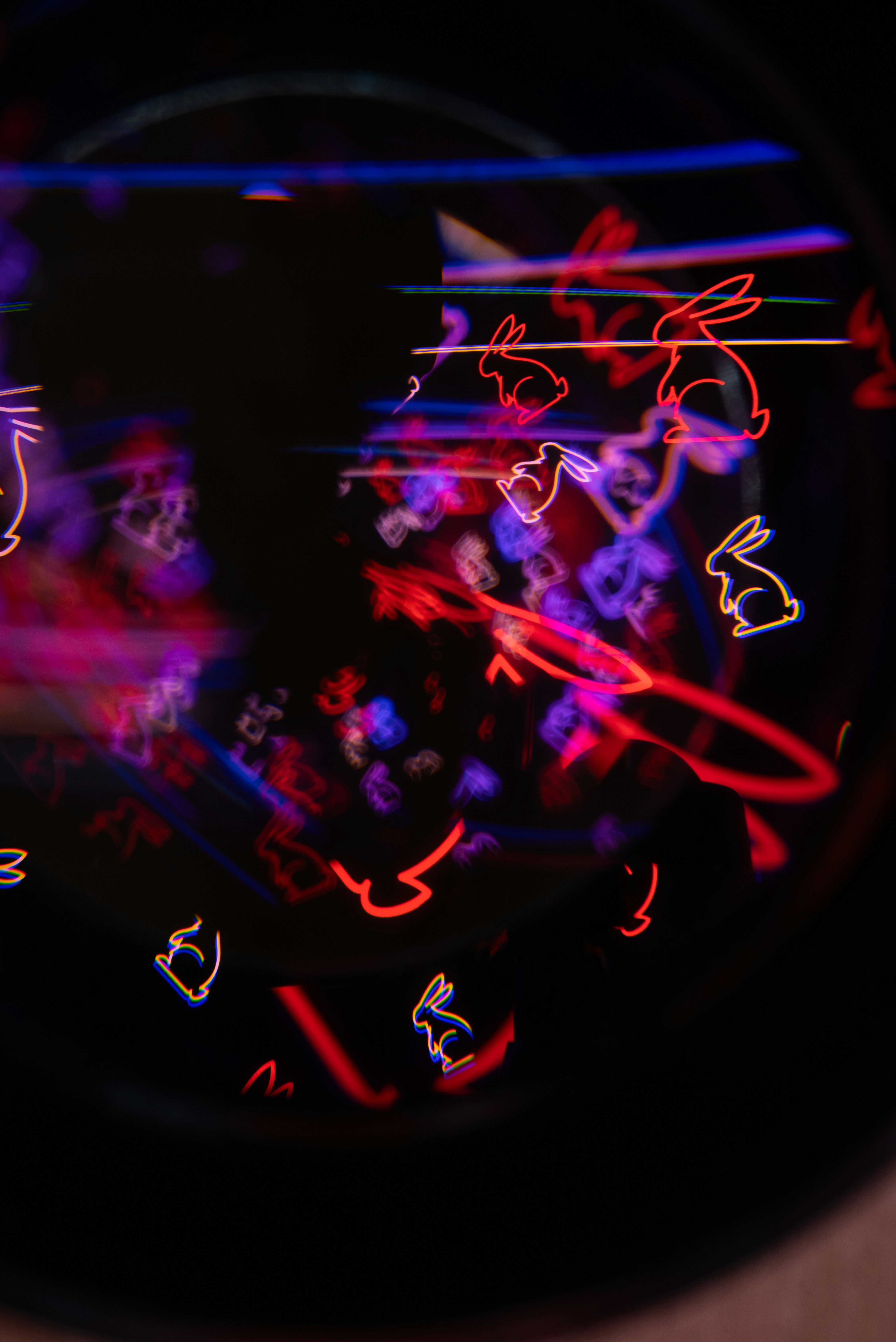 Neon Bunny Parade in a Darkroom of Light