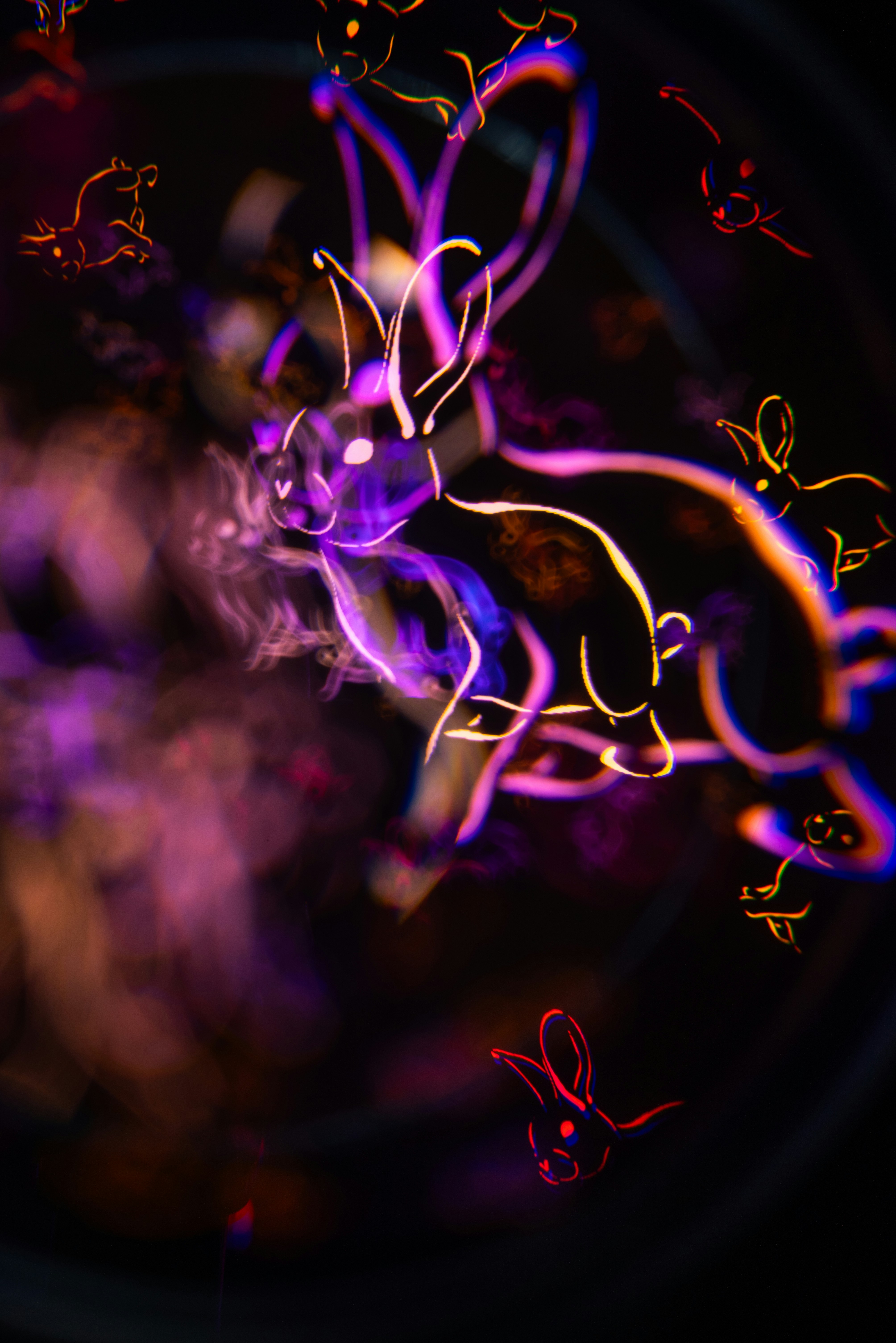 Neon Ribbon Ballet in a Velvet Black