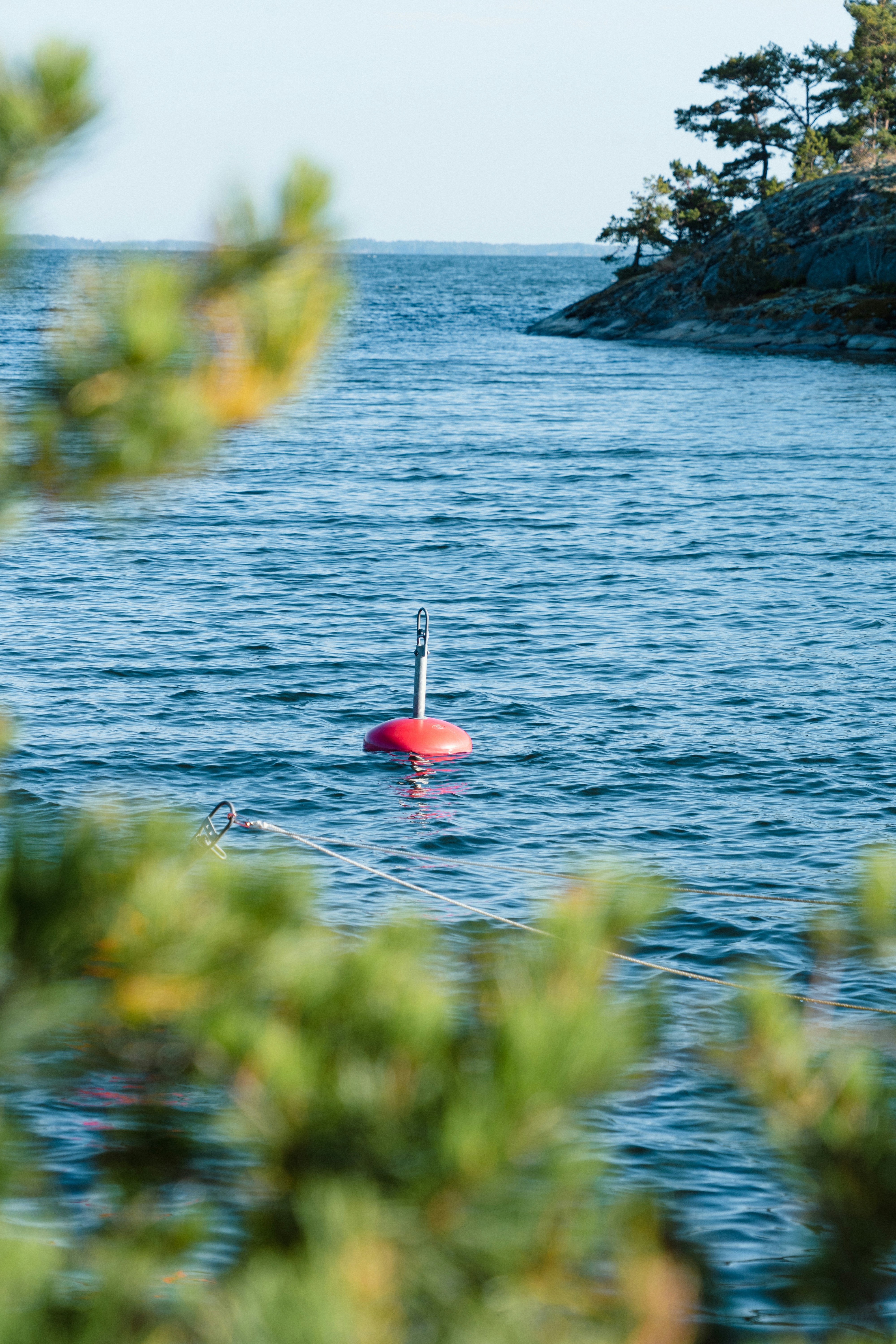 Red Buoy in a Serene Lake Scene Framed by Quiet Foreground Foliage