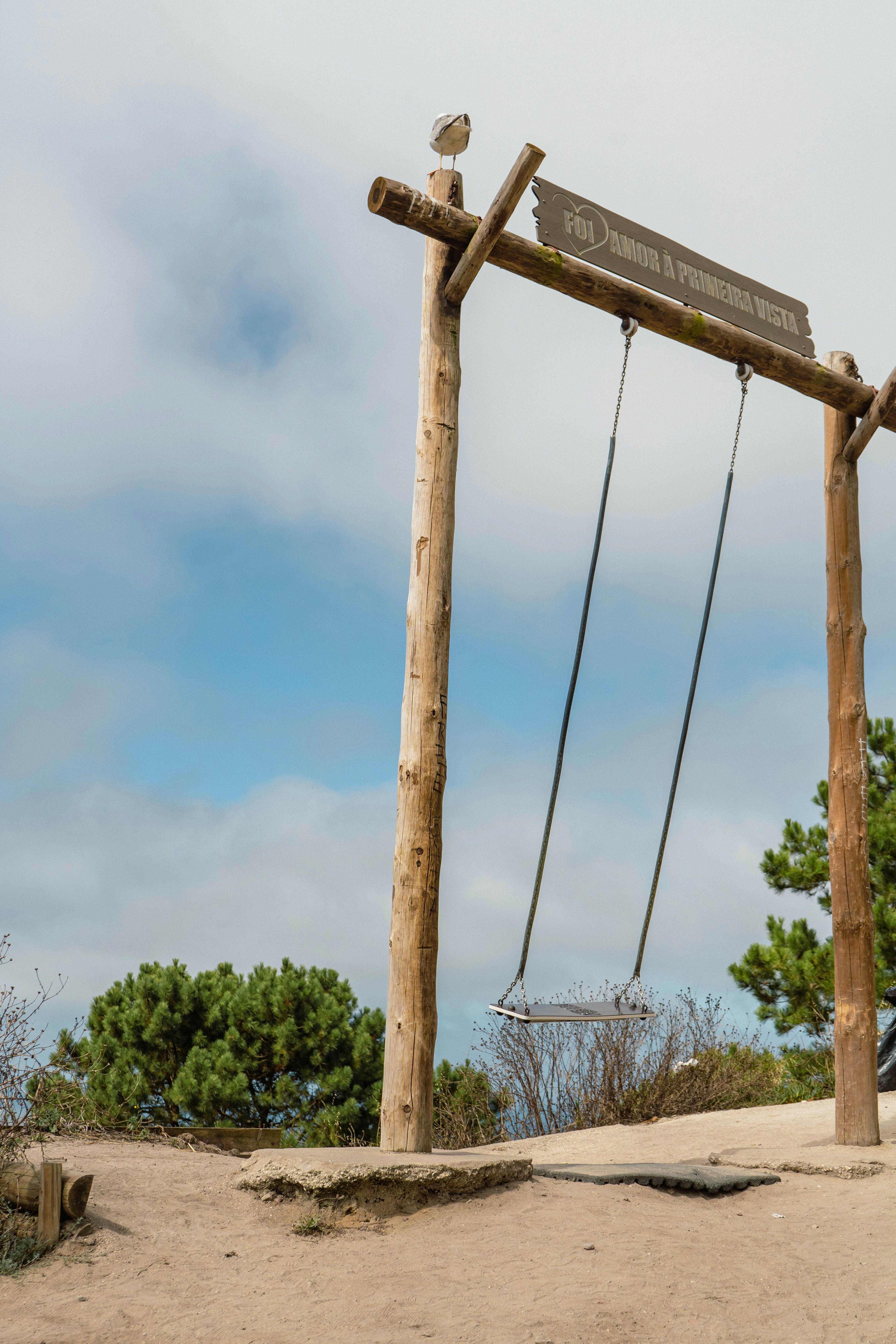 Perched Above a Weathered Swing: Tiny Bird in the Open Sky