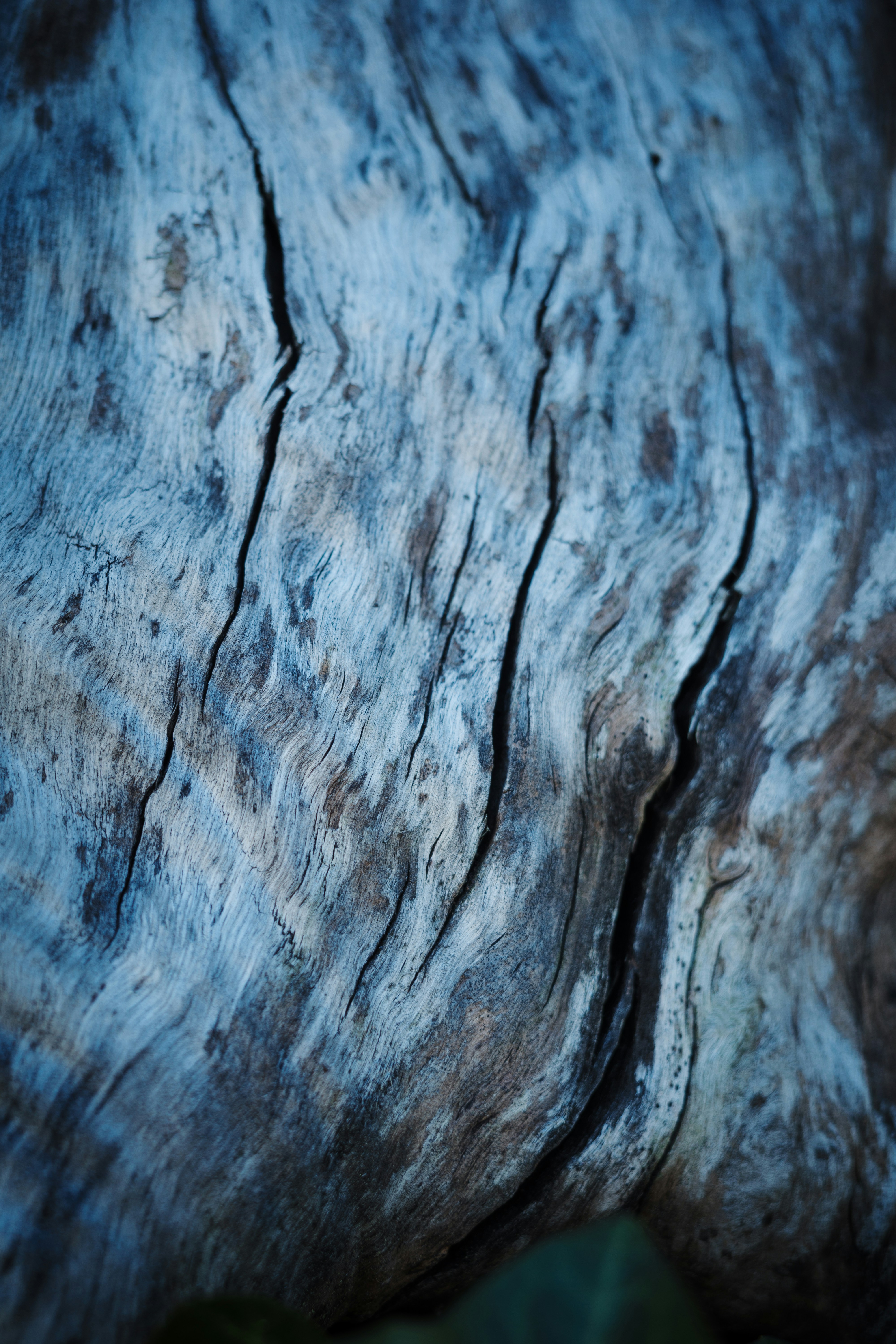 Close-up abstract texture of weathered wood grain. photo – Free Background Image on Unsplash
